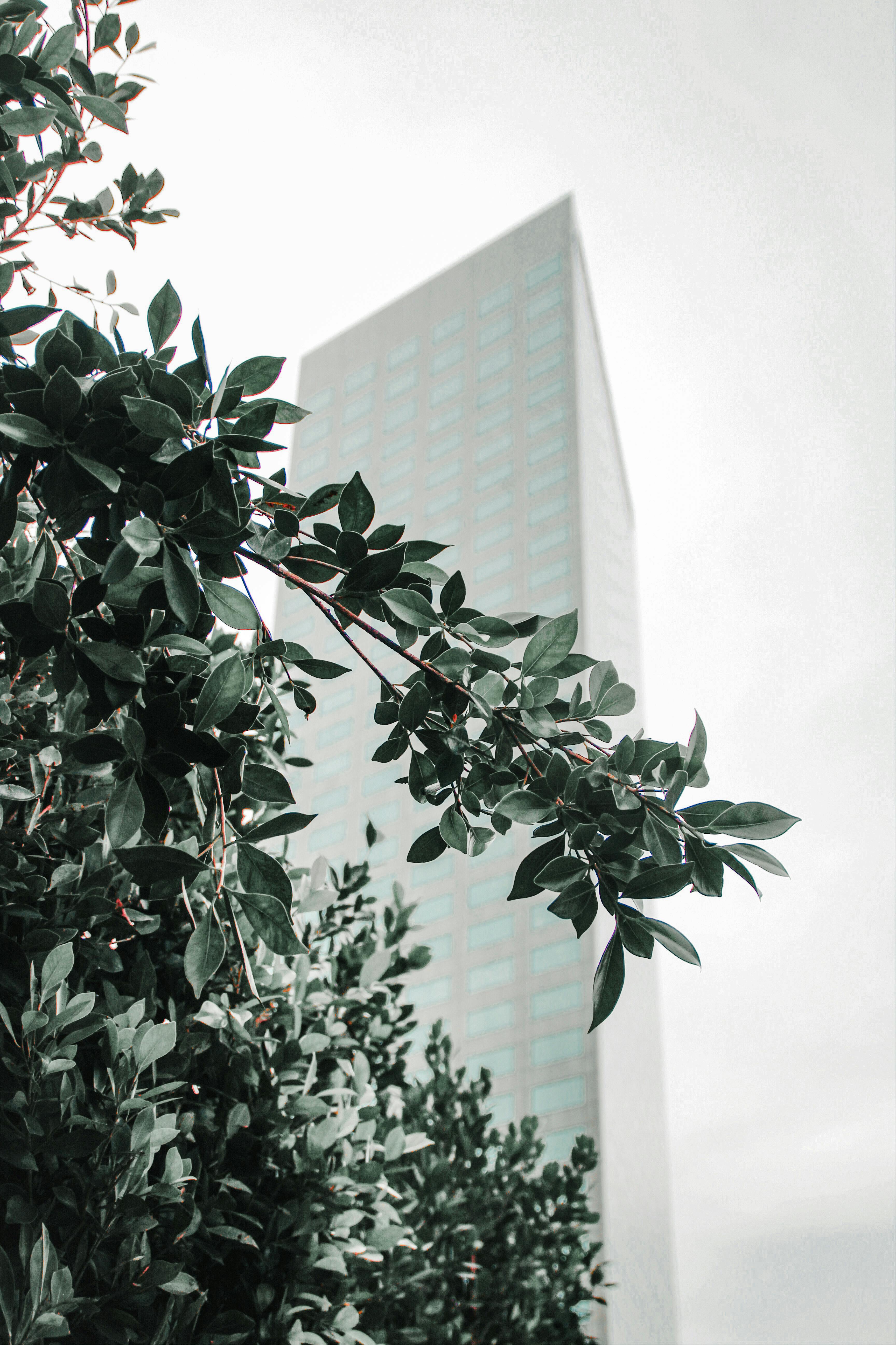 Austin Zhang - Photographie