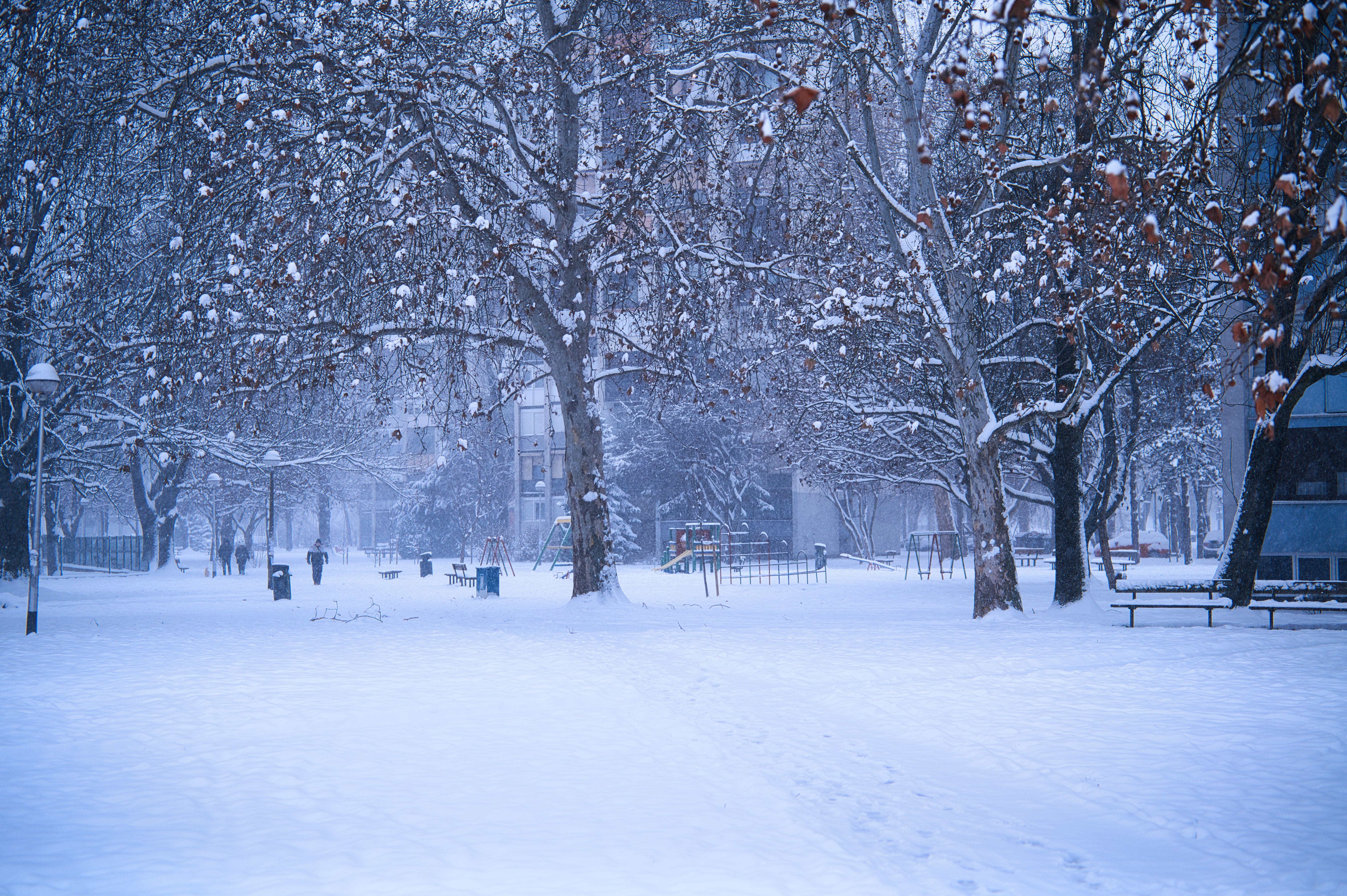 Snow-Covered Park in Winter Urban Landscape · Free Stock Photo