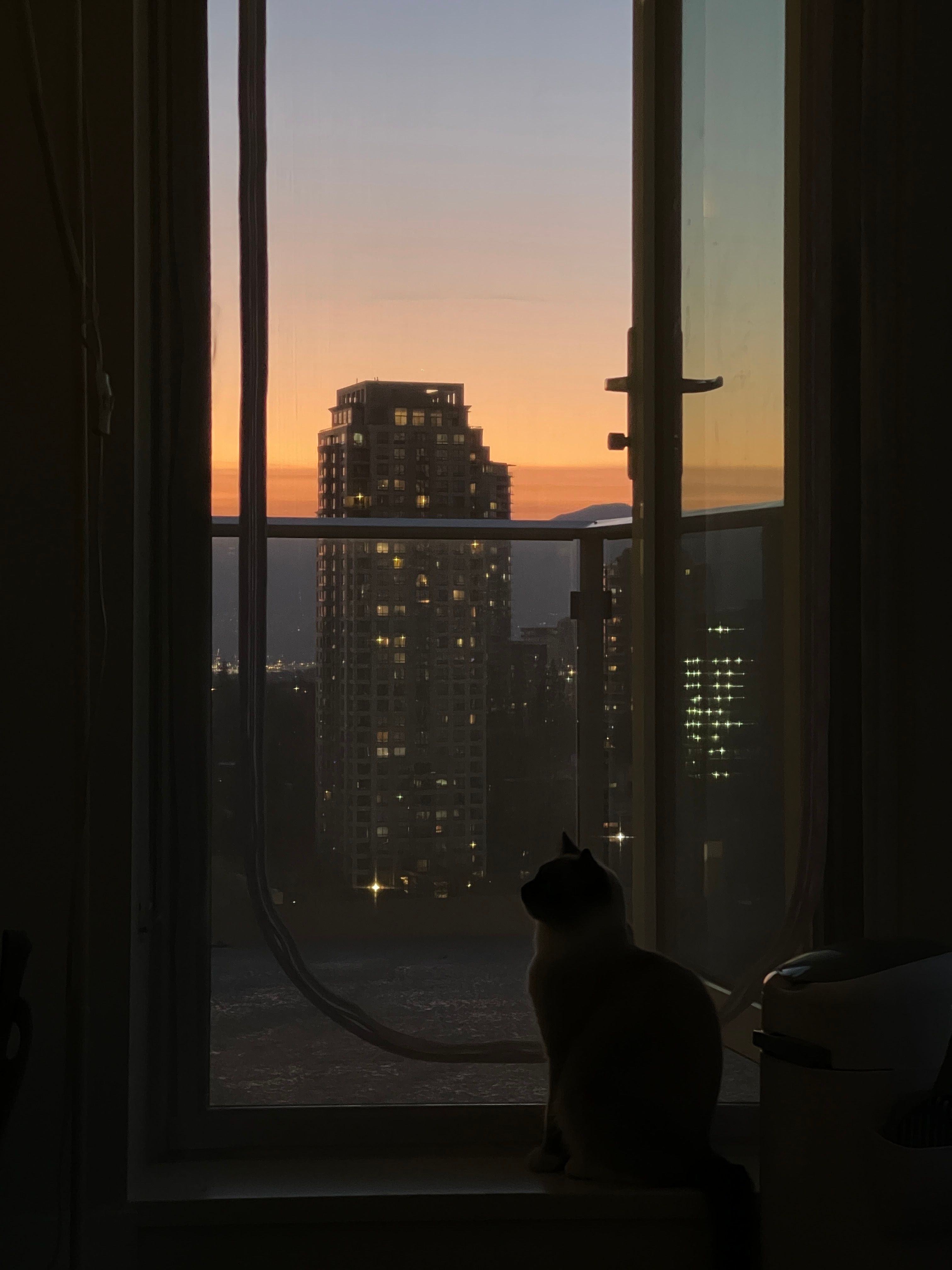 Cat+Eats+Chipswindows+Xp+Wallpaper Photos, Download The BEST Free Cat ...