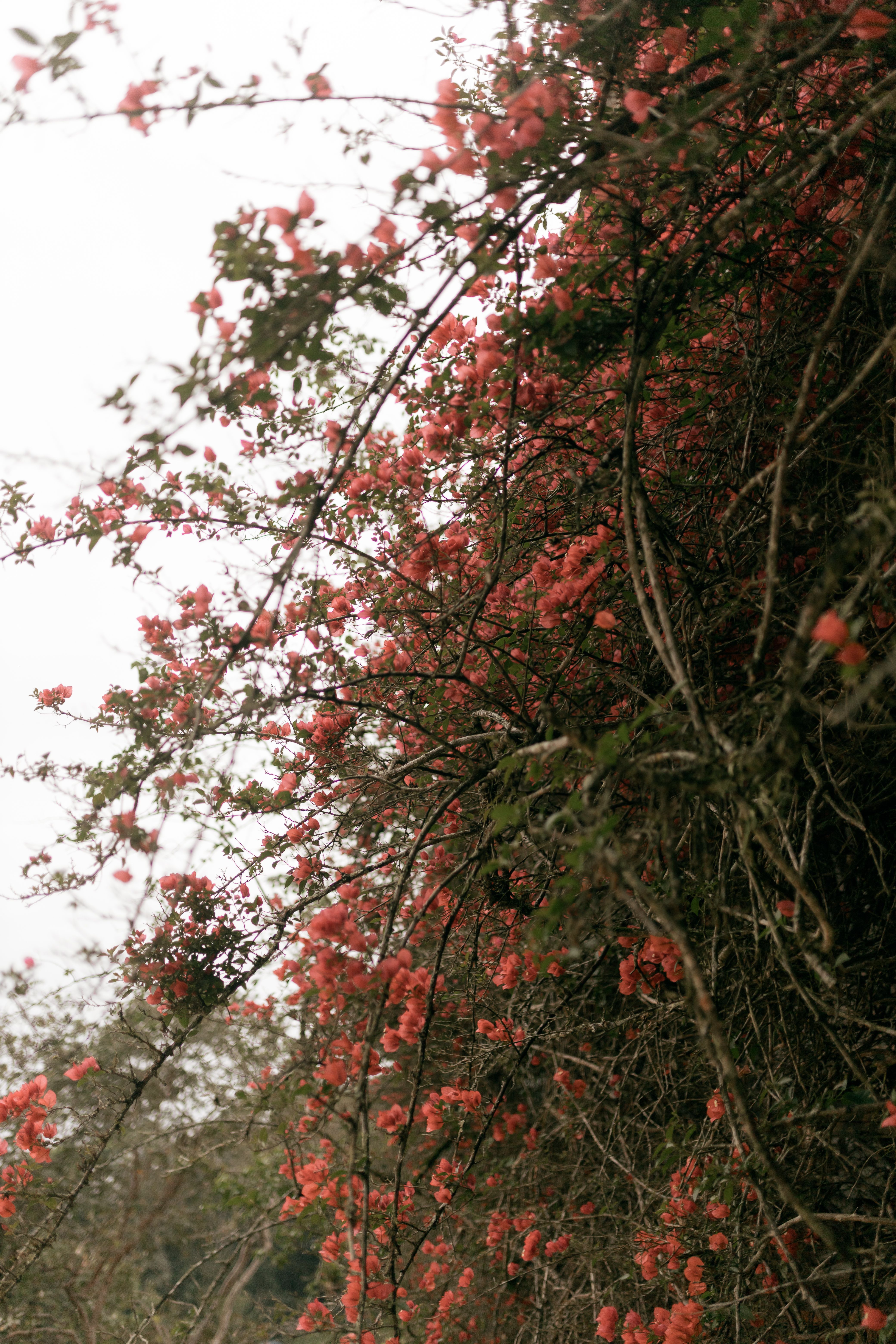 Colorful Landscape Photos, Download The BEST Free Colorful Landscape ...