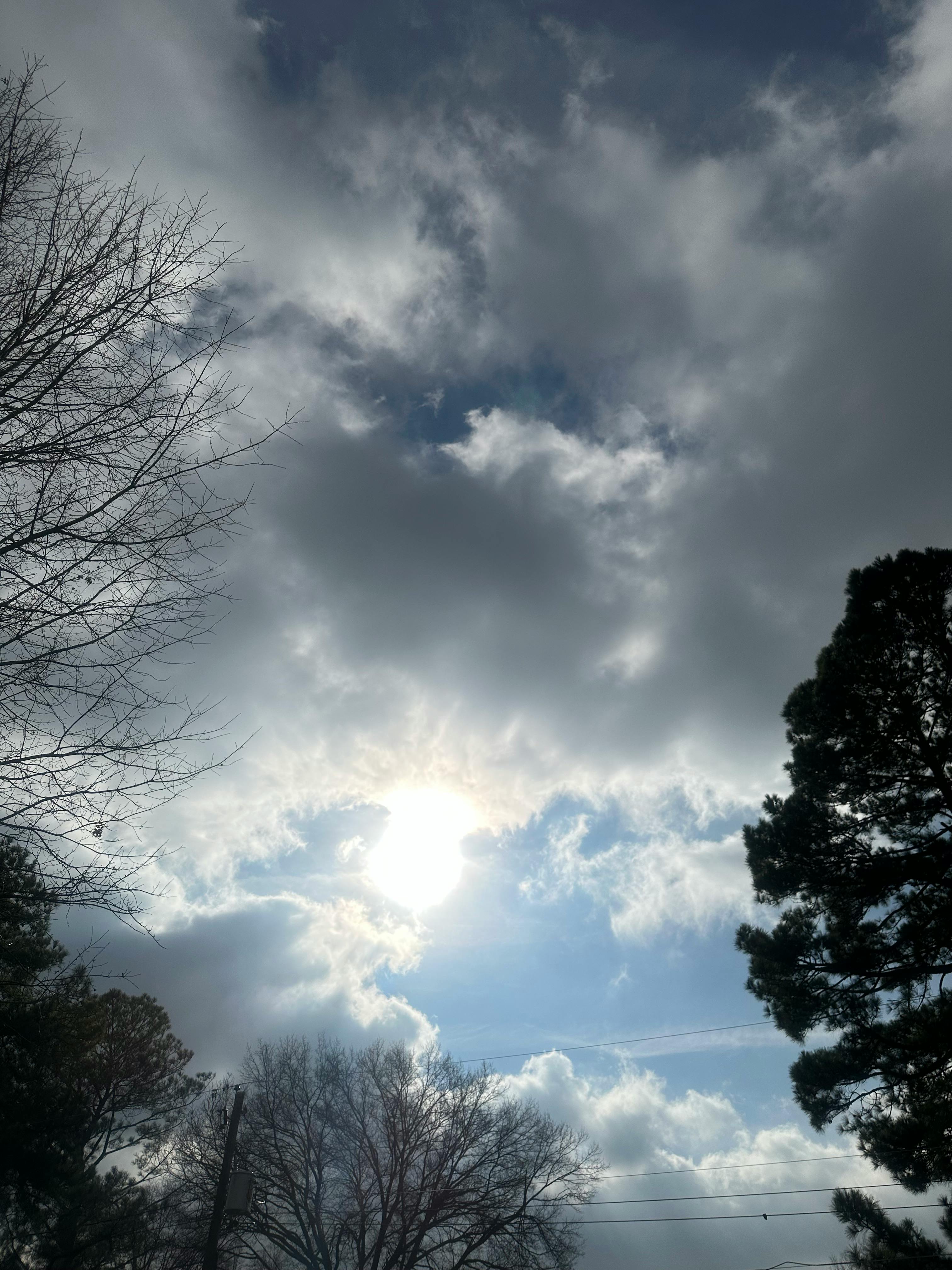 Youronda Gentry - 摄影