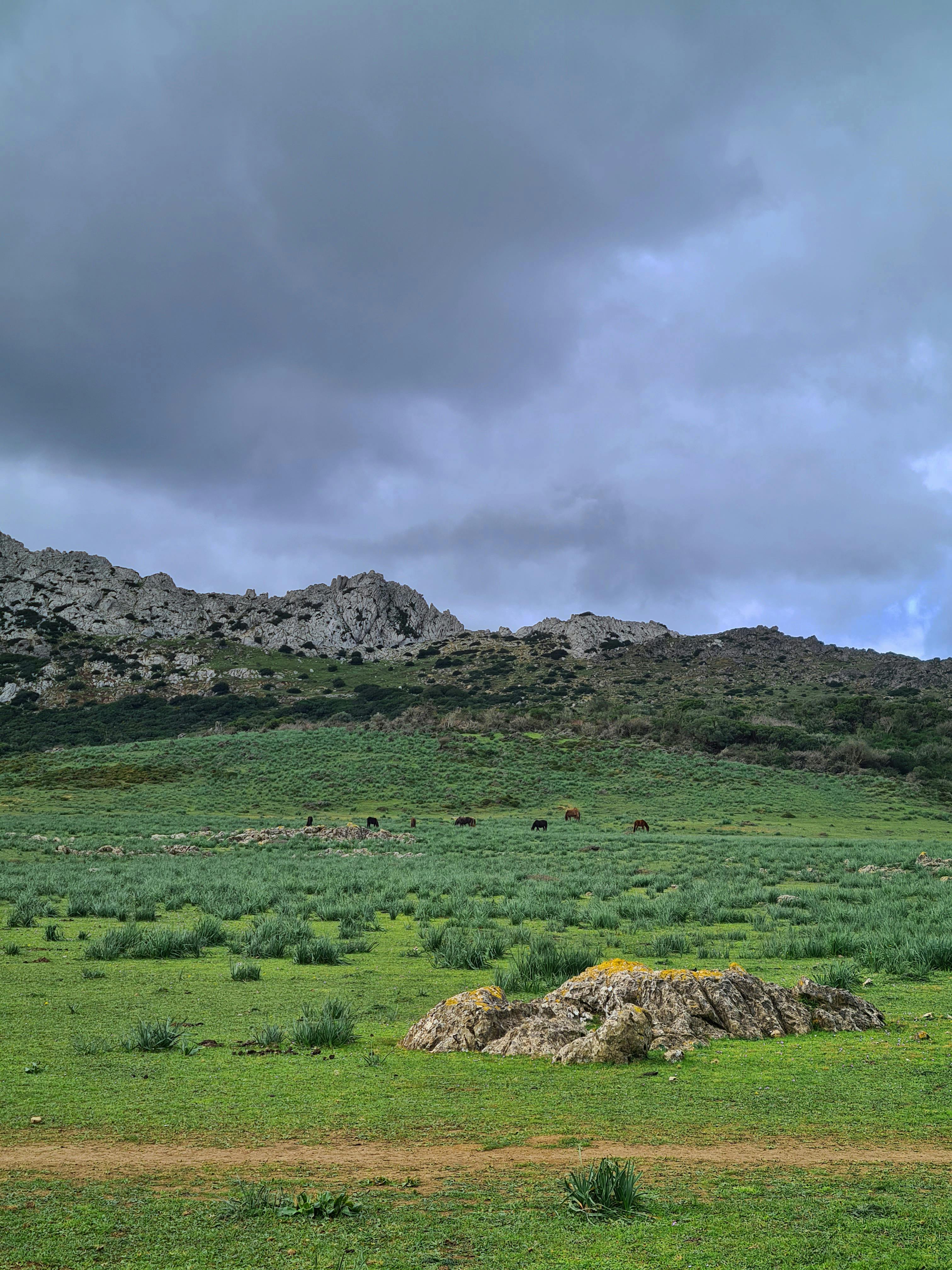 Imvu Textures Photos, Download The BEST Free Imvu Textures Stock Photos ...