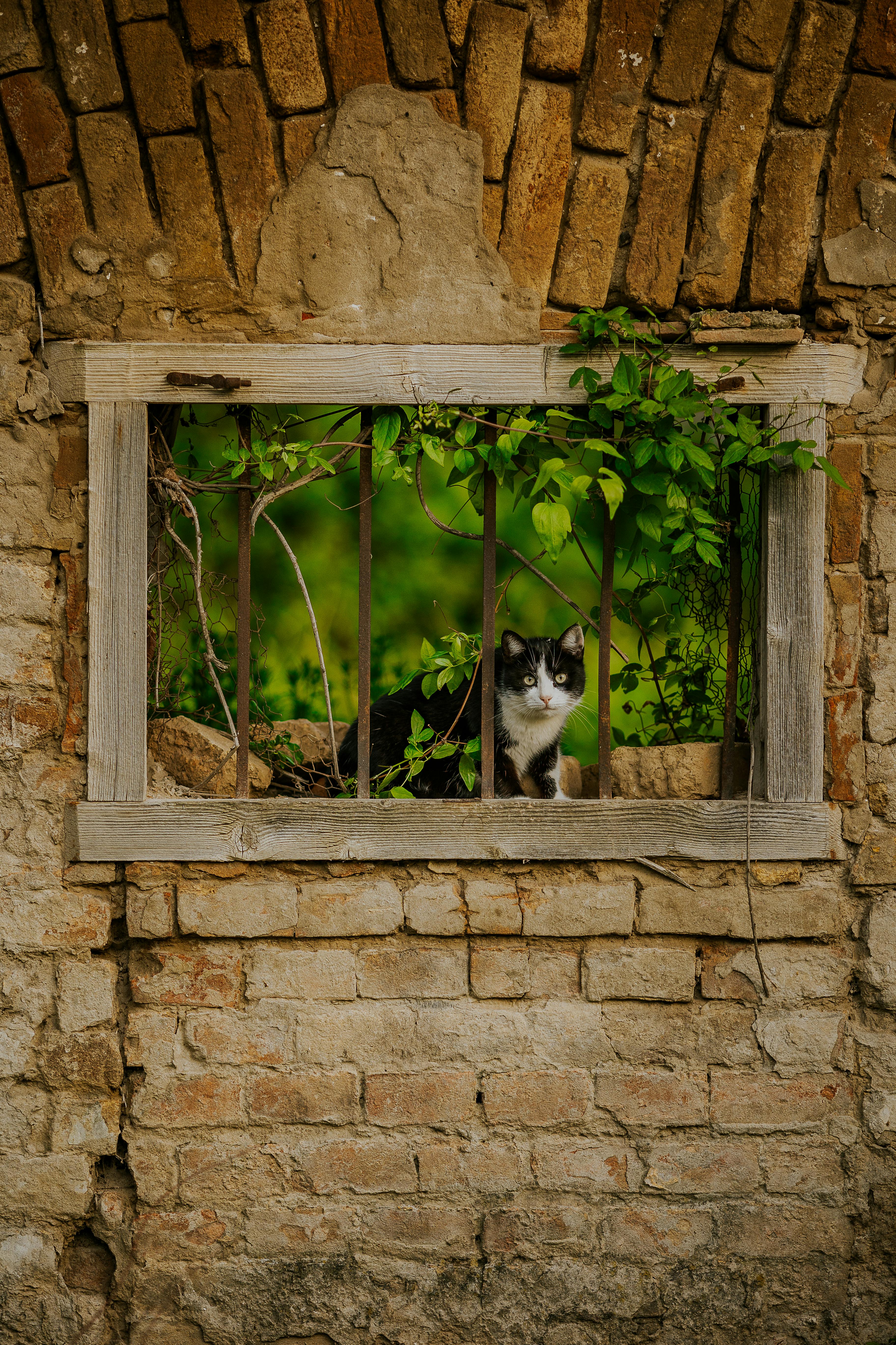 Cute God Photos, Download The BEST Free Cute God Stock Photos & HD Images