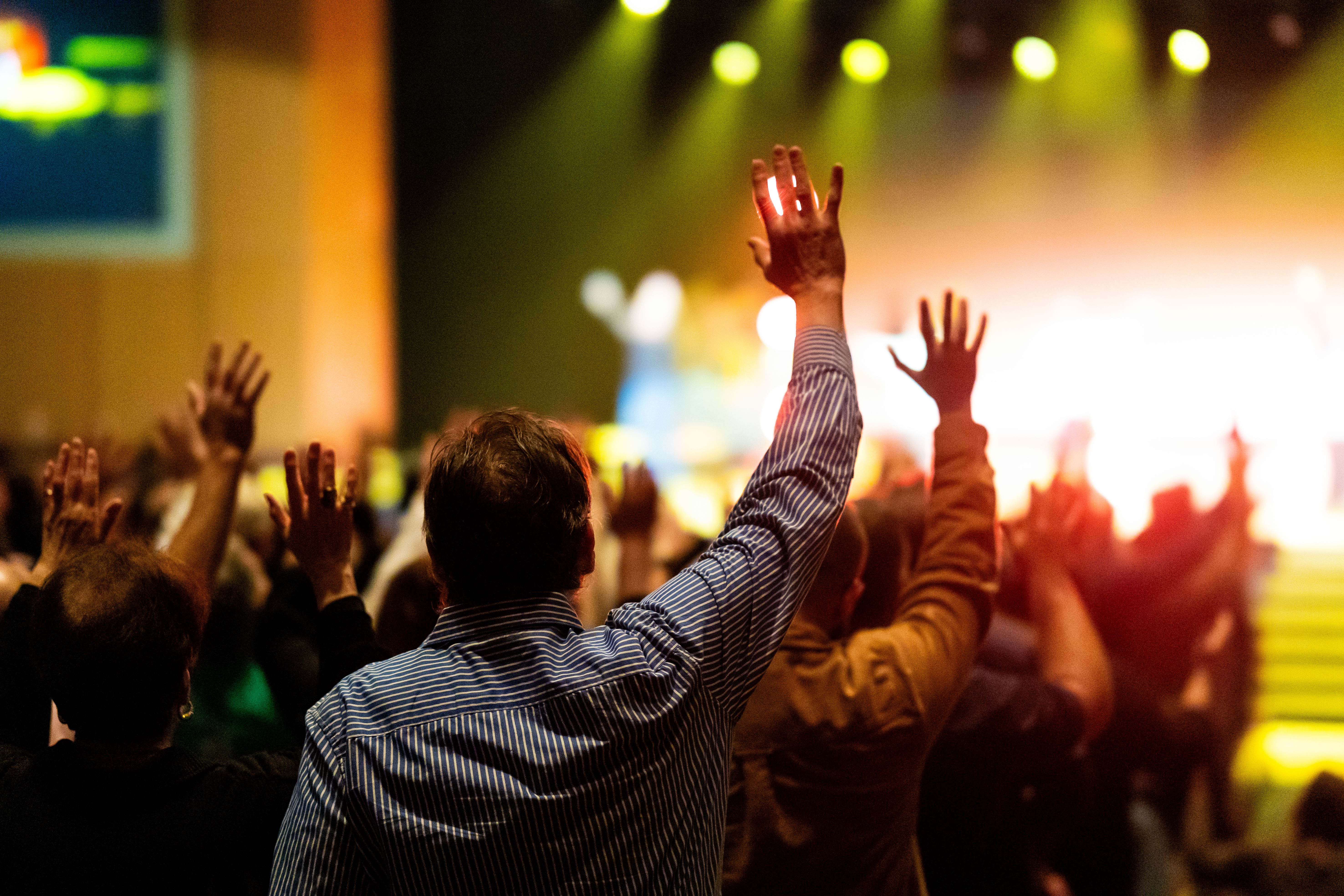 Enthusiastic Audience at Live Event · Free Stock Photo