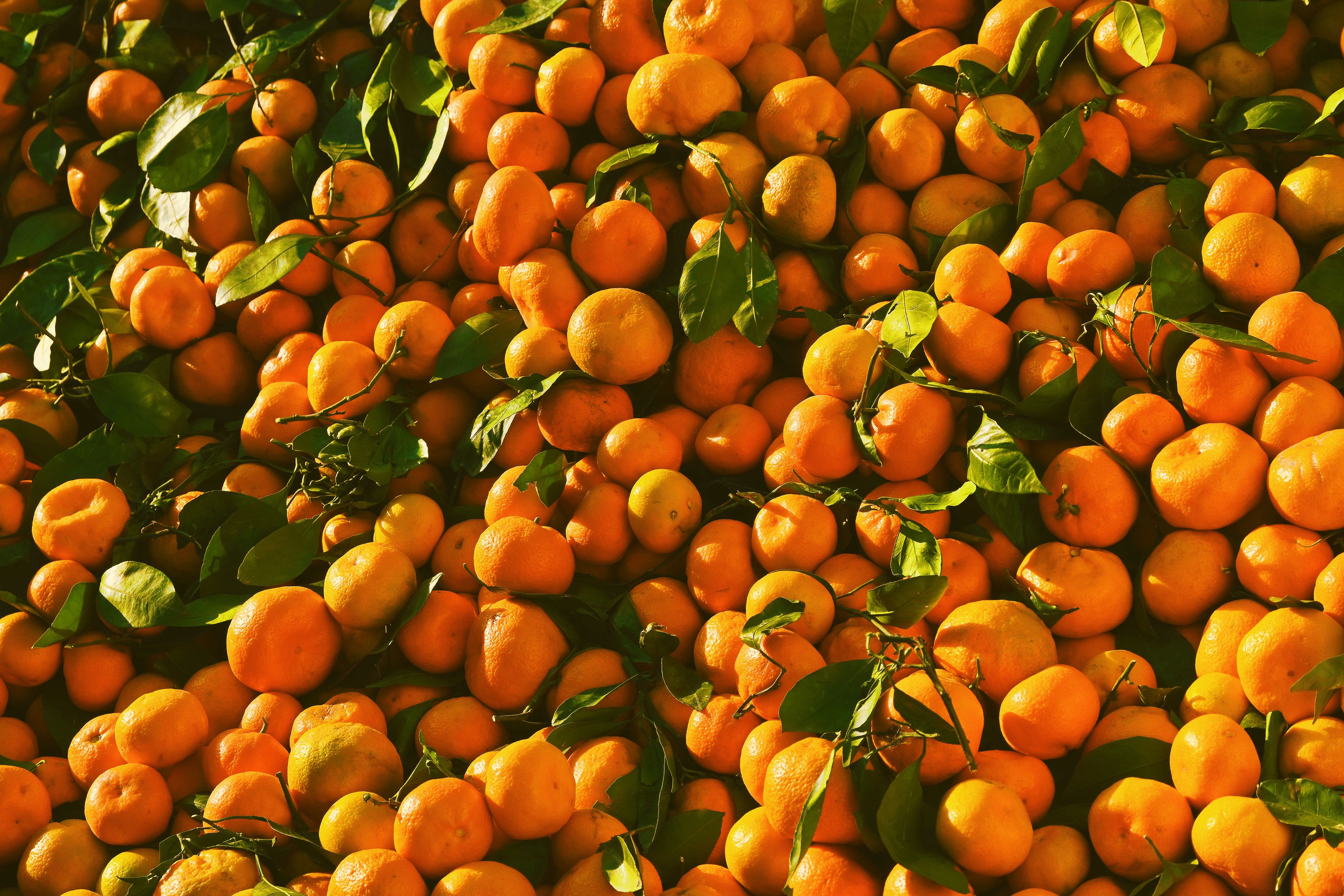 Anar Fruit Photos, Download The BEST Free Anar Fruit Stock Photos & HD ...