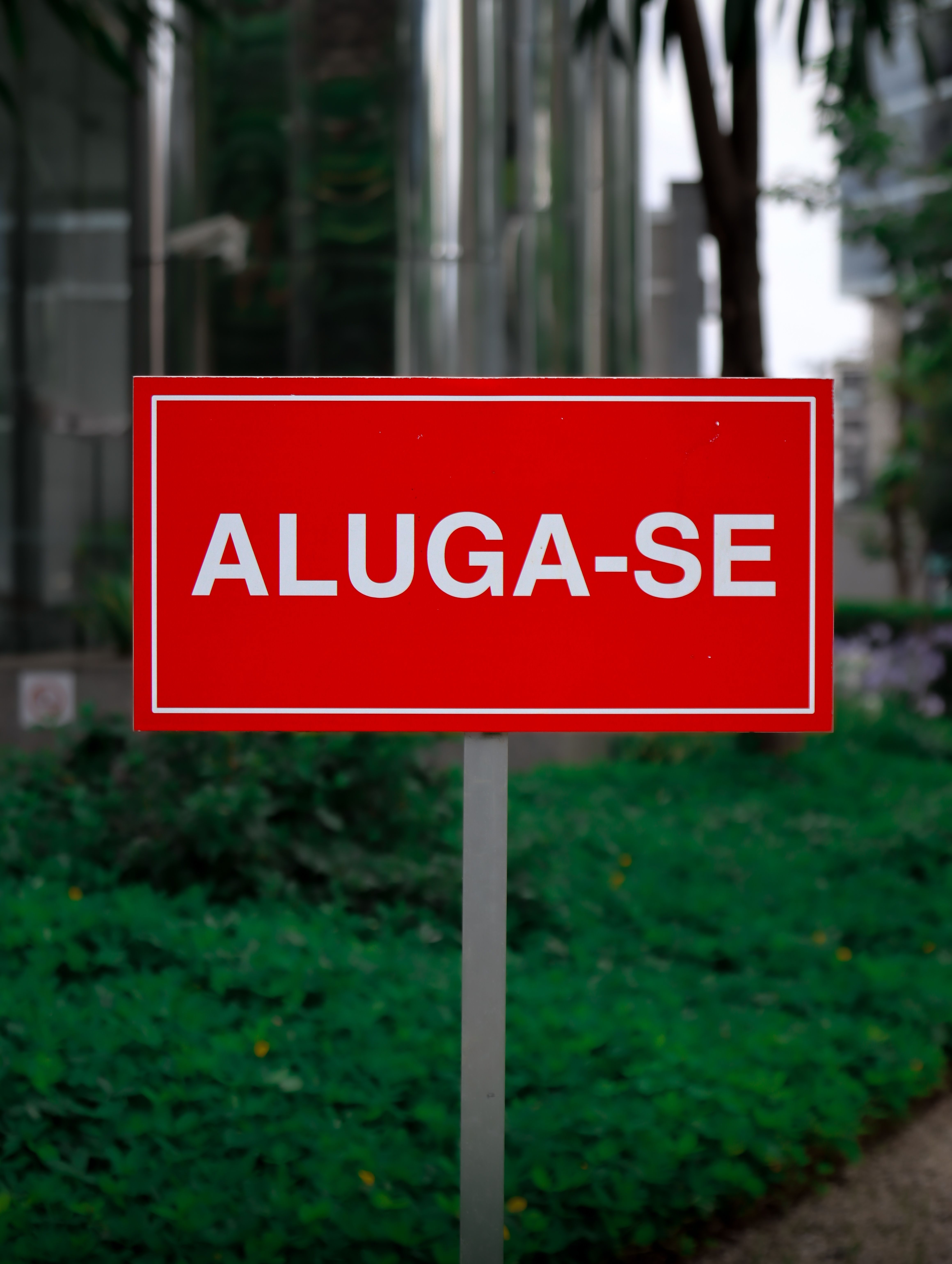 Red Aluga-Se Sign in Urban Environment · Free Stock Photo