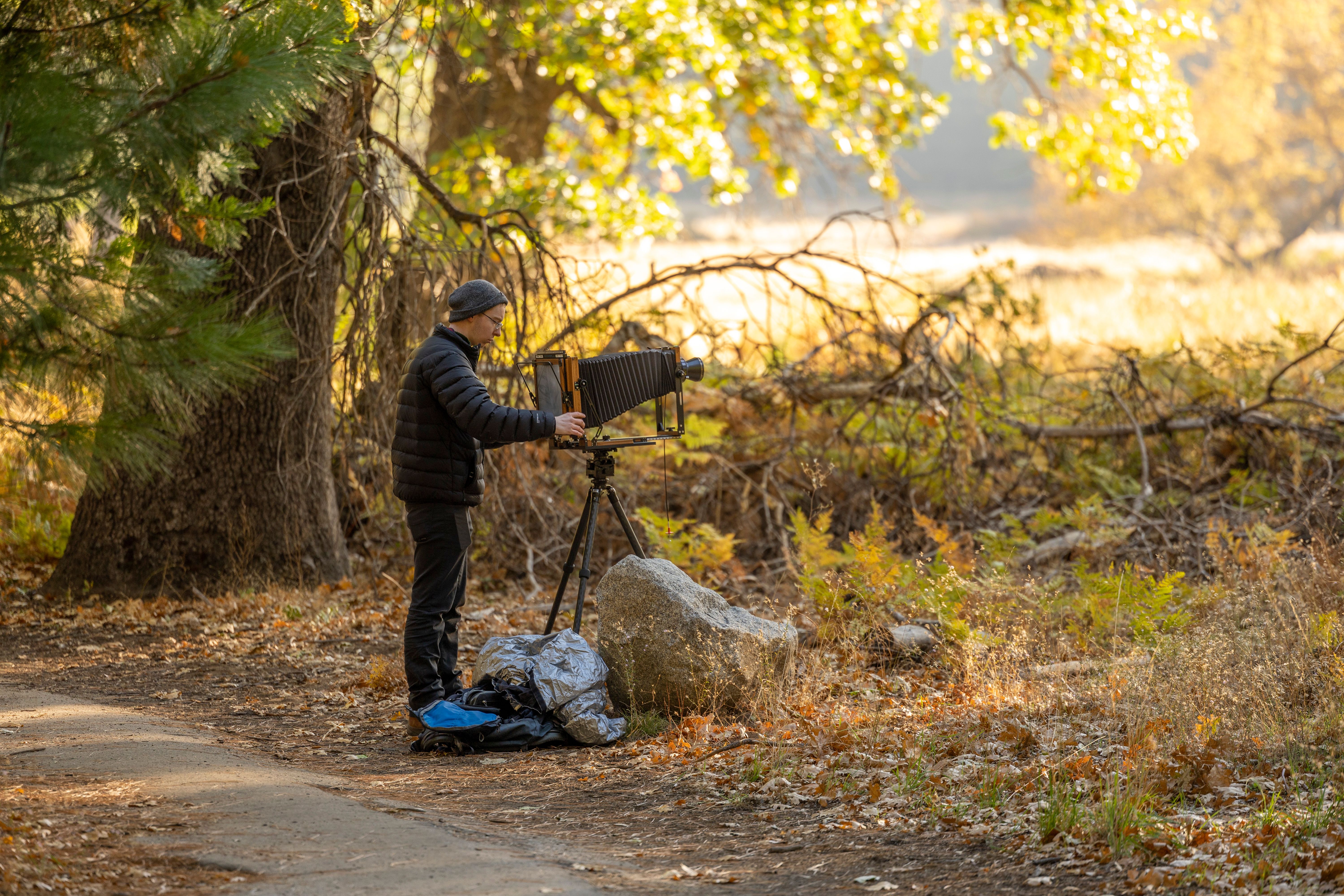 Photographer Using Vintage Camera in Autumn Forest · Free Stock Photo