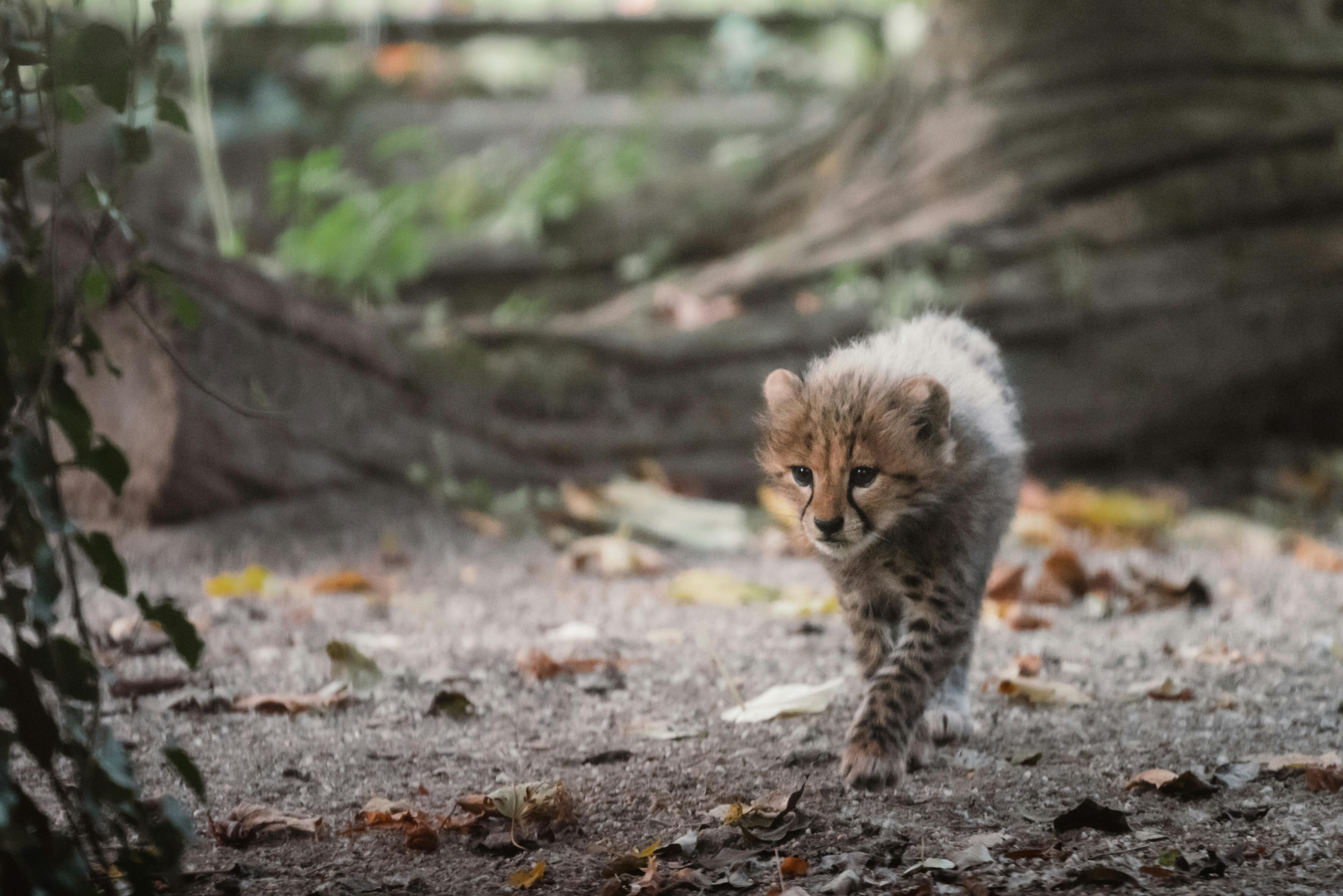 Philosophy Wallpaper 4k Photos, Download The BEST Free Philosophy ...