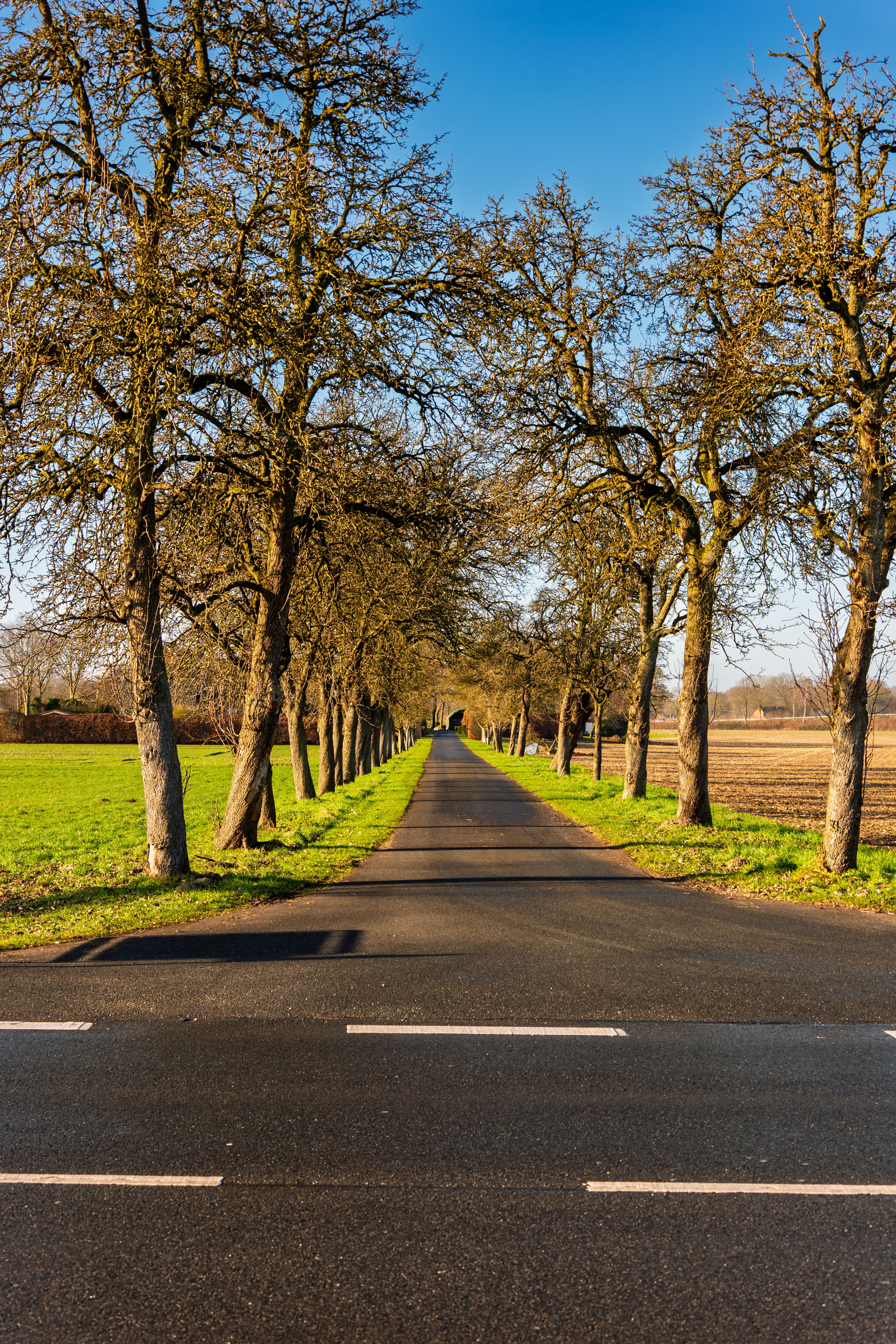 Horizontal Landscape Photos, Download The BEST Free Horizontal ...