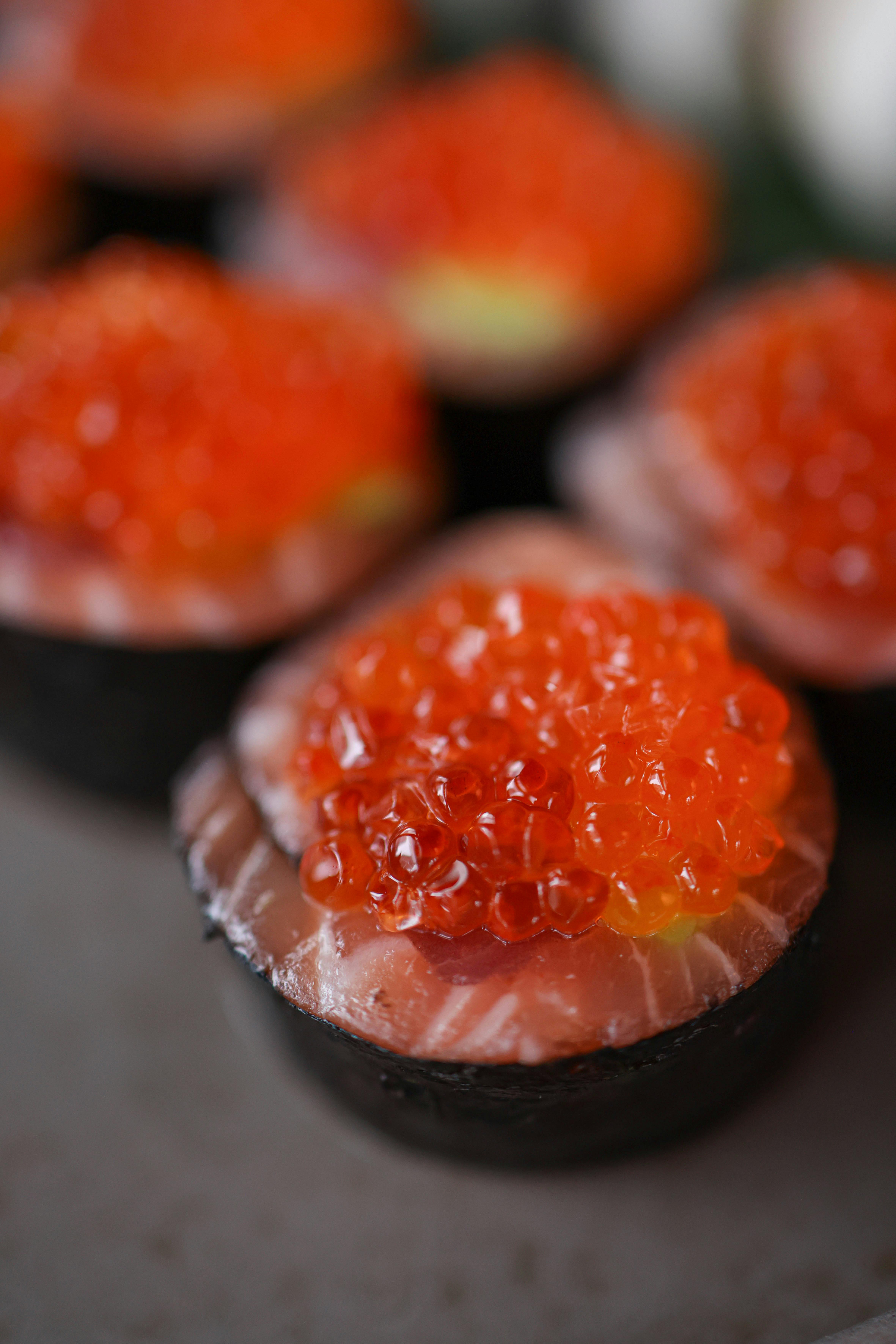 Sashimi+Shush+Compilation Photos, Download The BEST Free Sashimi+Shush ...