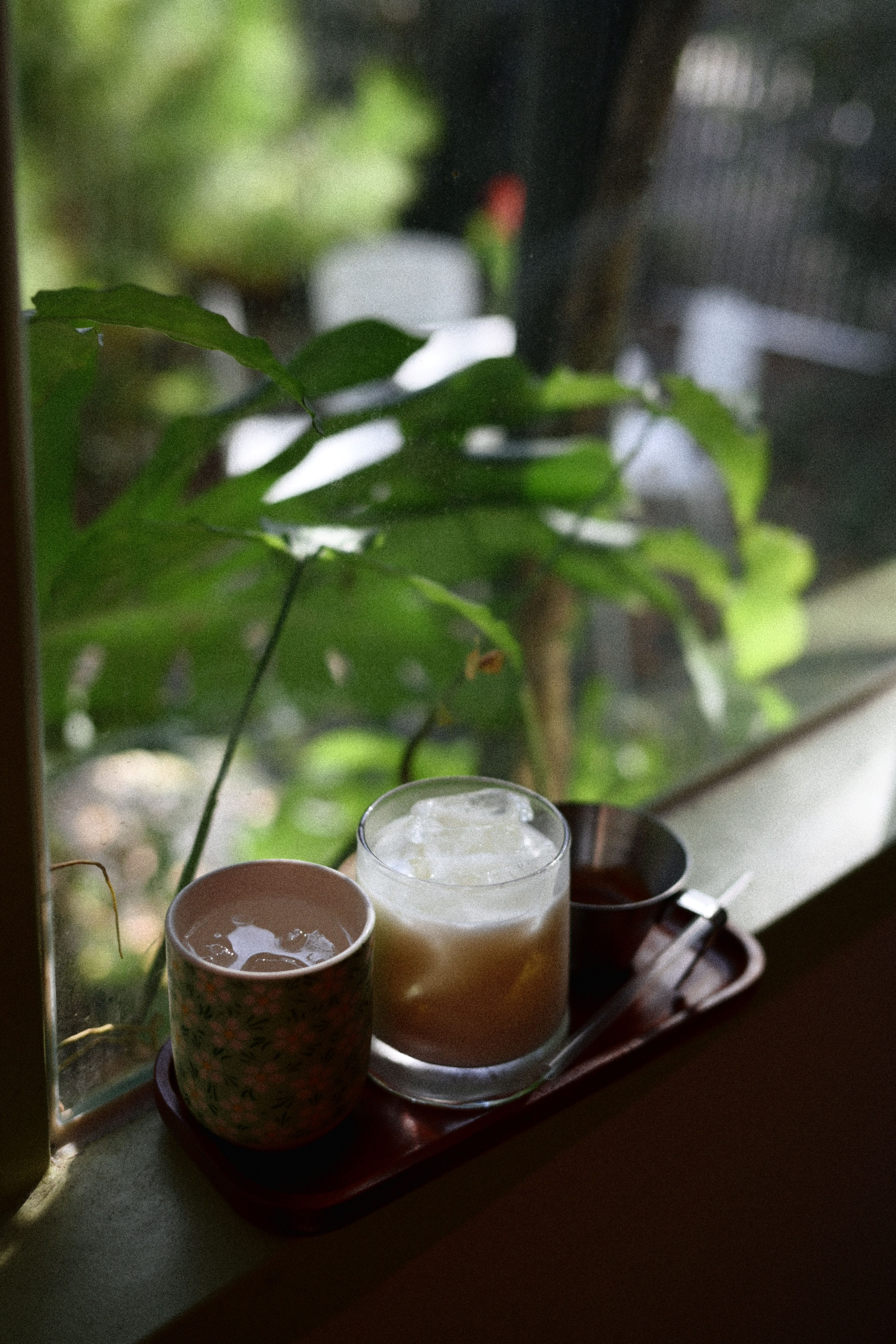 Refreshing Beverages by a Sunny Window · Free Stock Photo