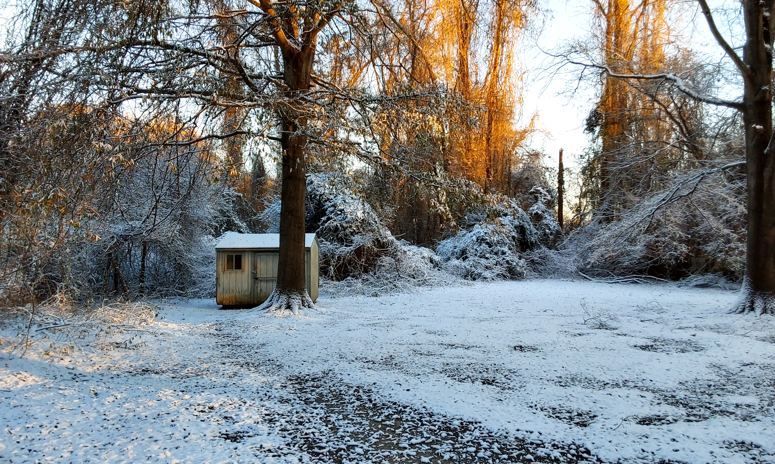 Snowy Backyard Landscape in North Carolina · Free Stock Photo