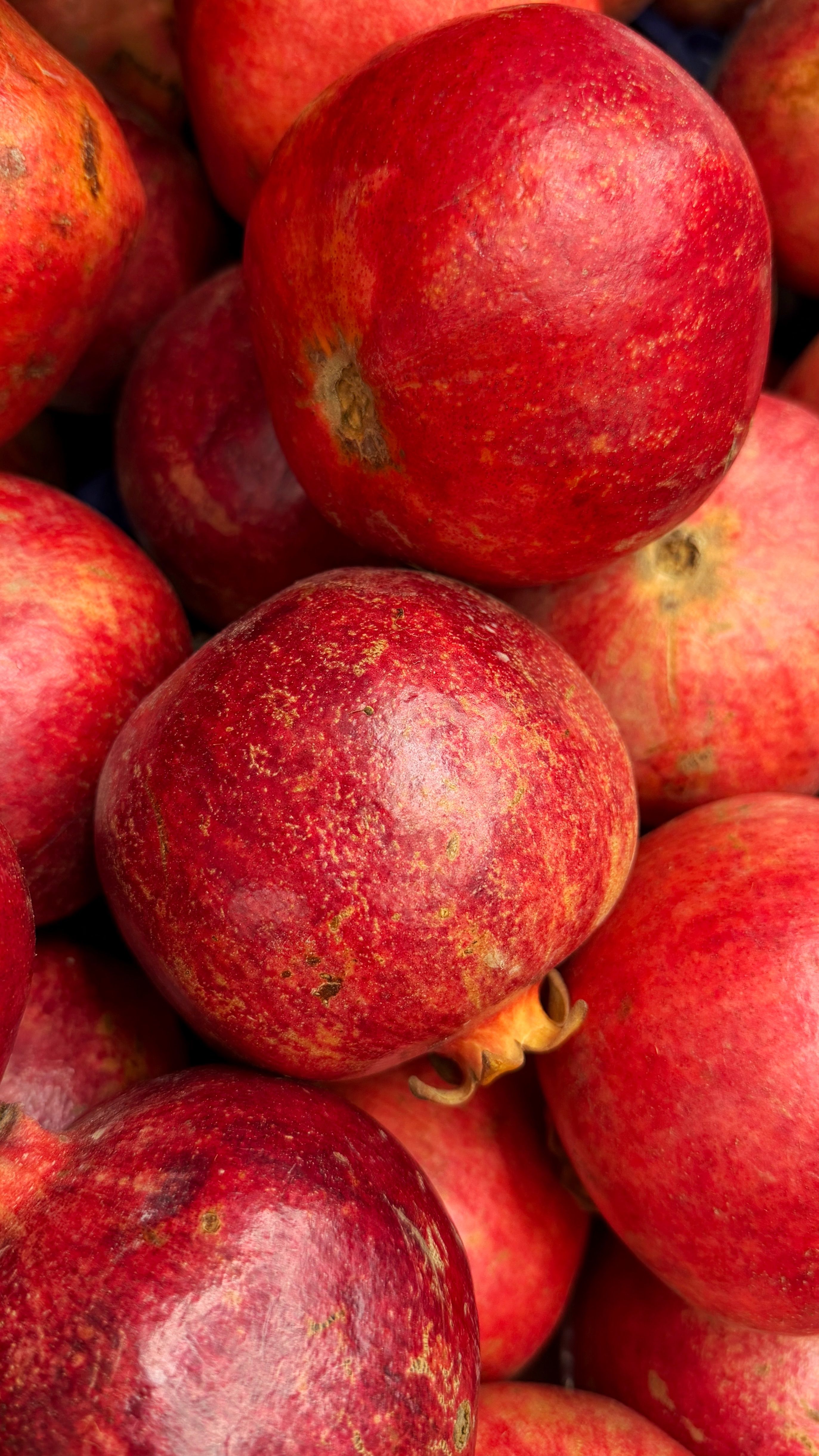 Anar Fruit Photos, Download The BEST Free Anar Fruit Stock Photos & HD ...