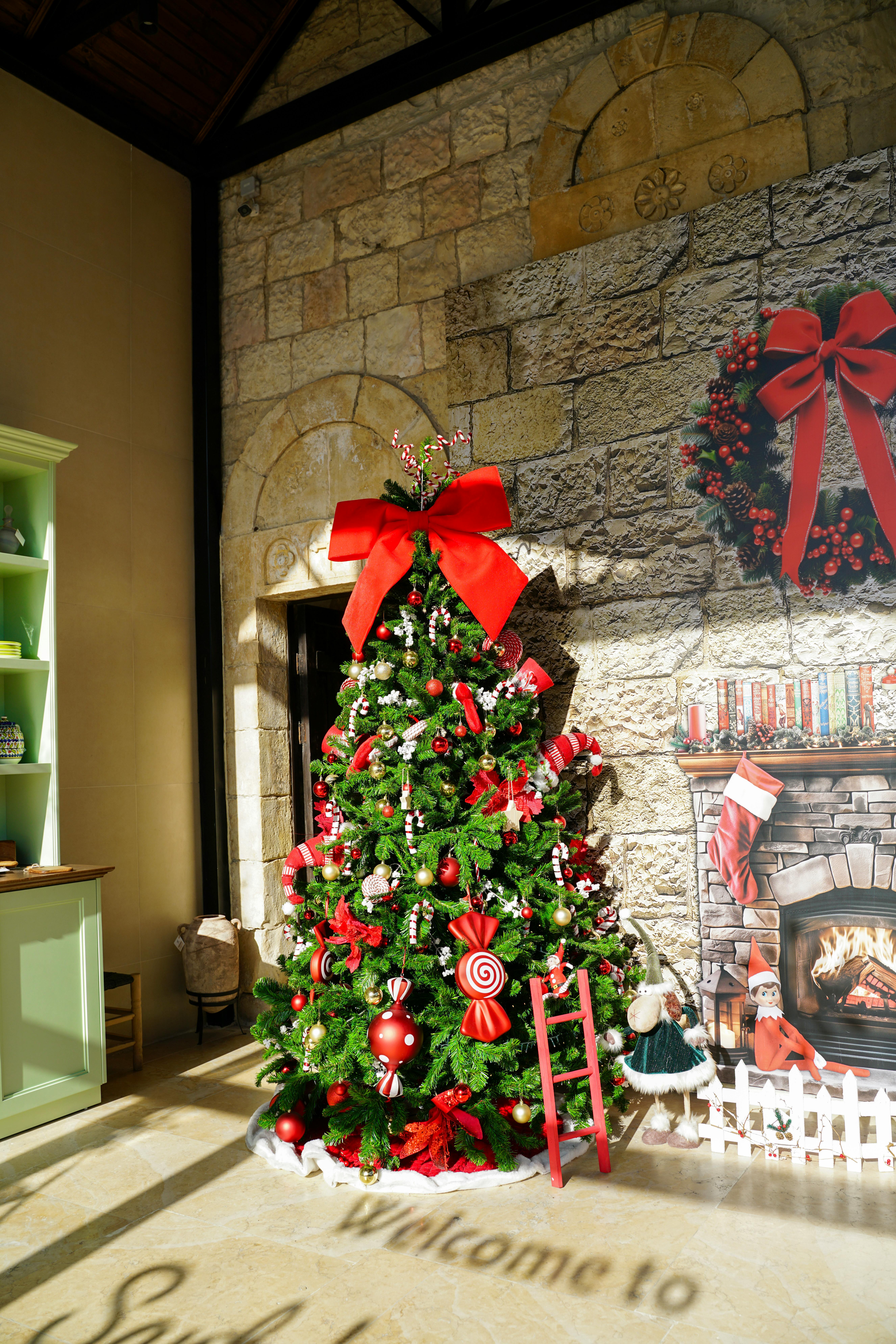 Raggiti+Stocks Photos, Download The BEST Free Raggiti+Stocks Stock ...