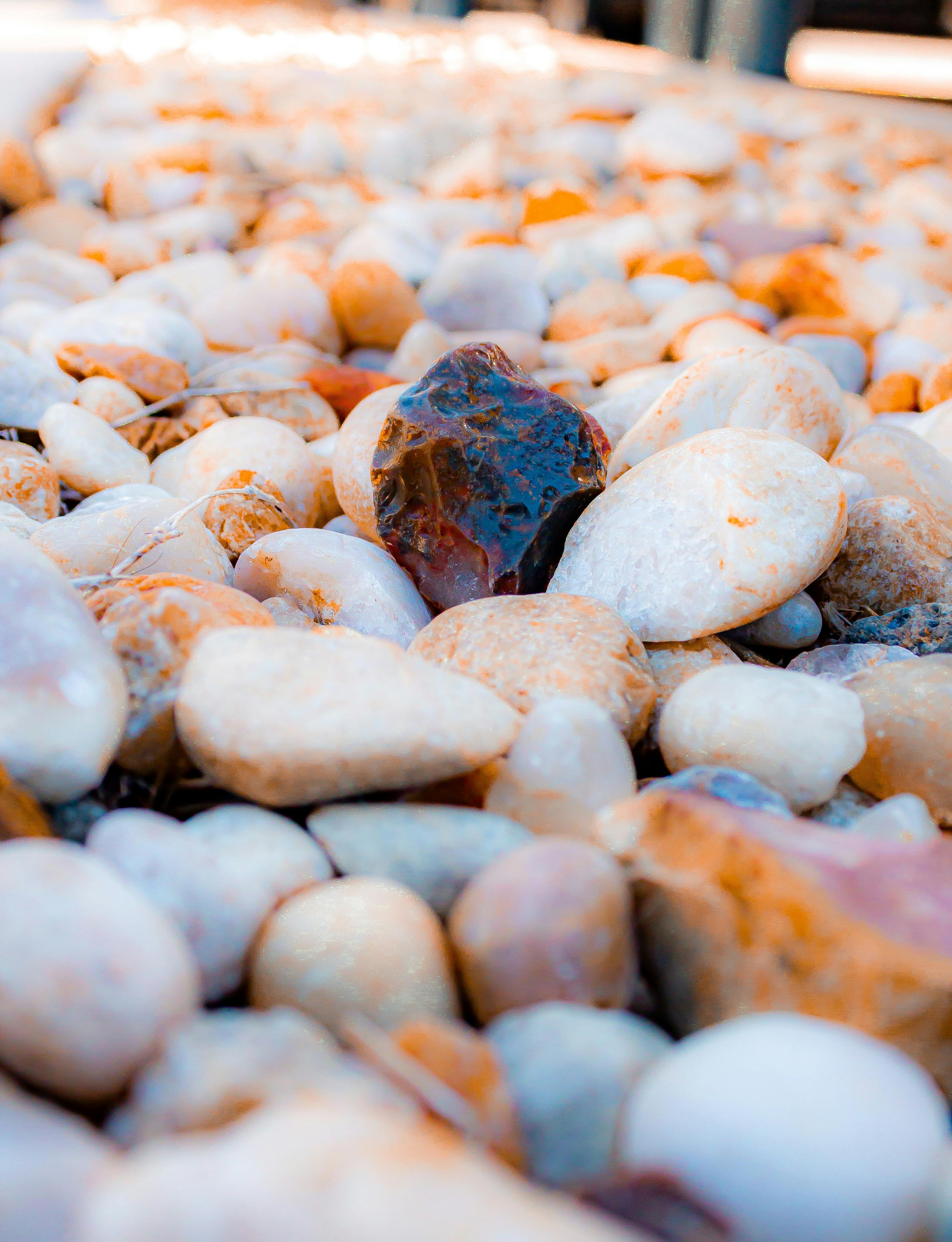 Non+Nudge Photos, Download The BEST Free Non+Nudge Stock Photos & HD Images