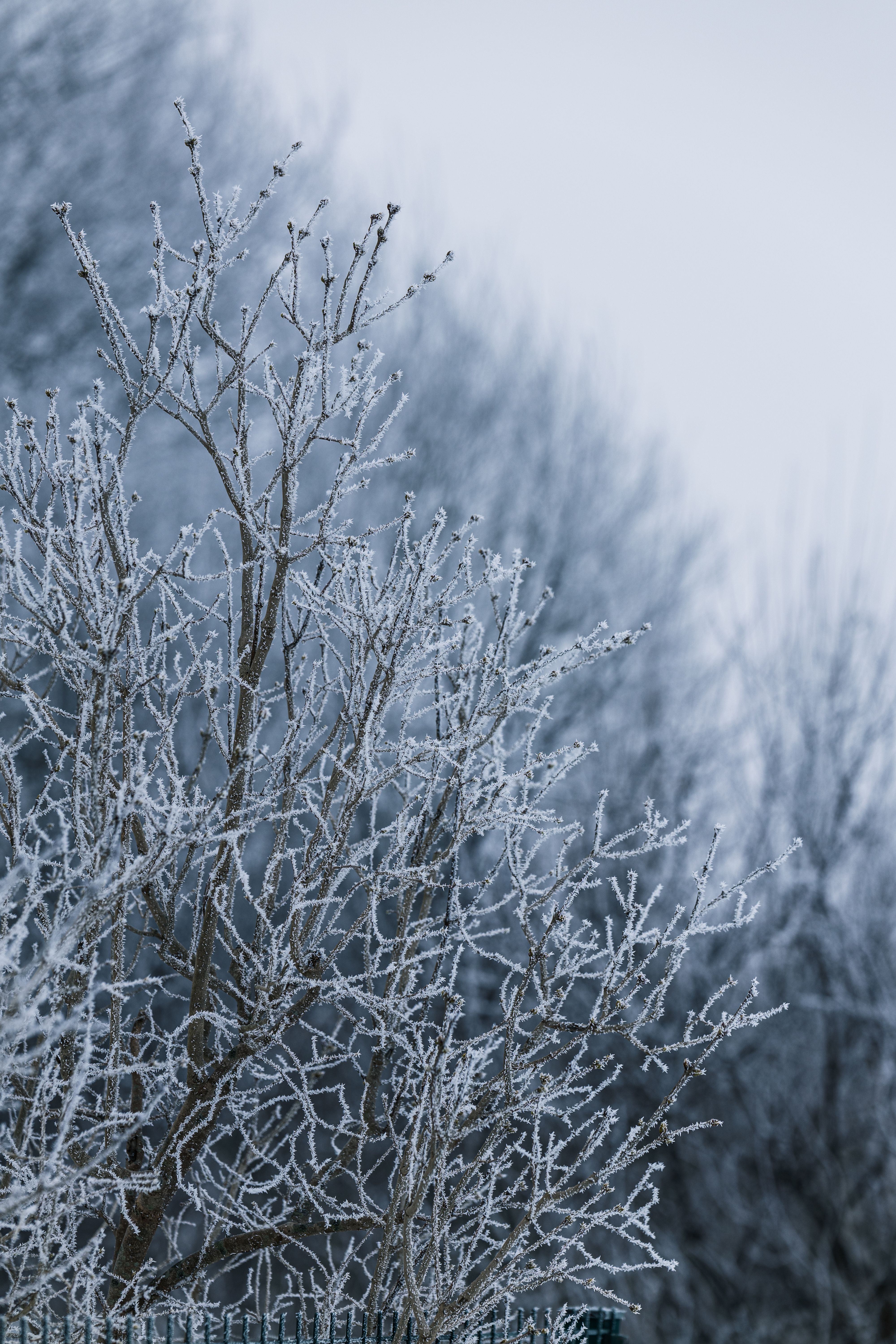 Teams Winter Background Photos, Download The BEST Free Teams Winter ...