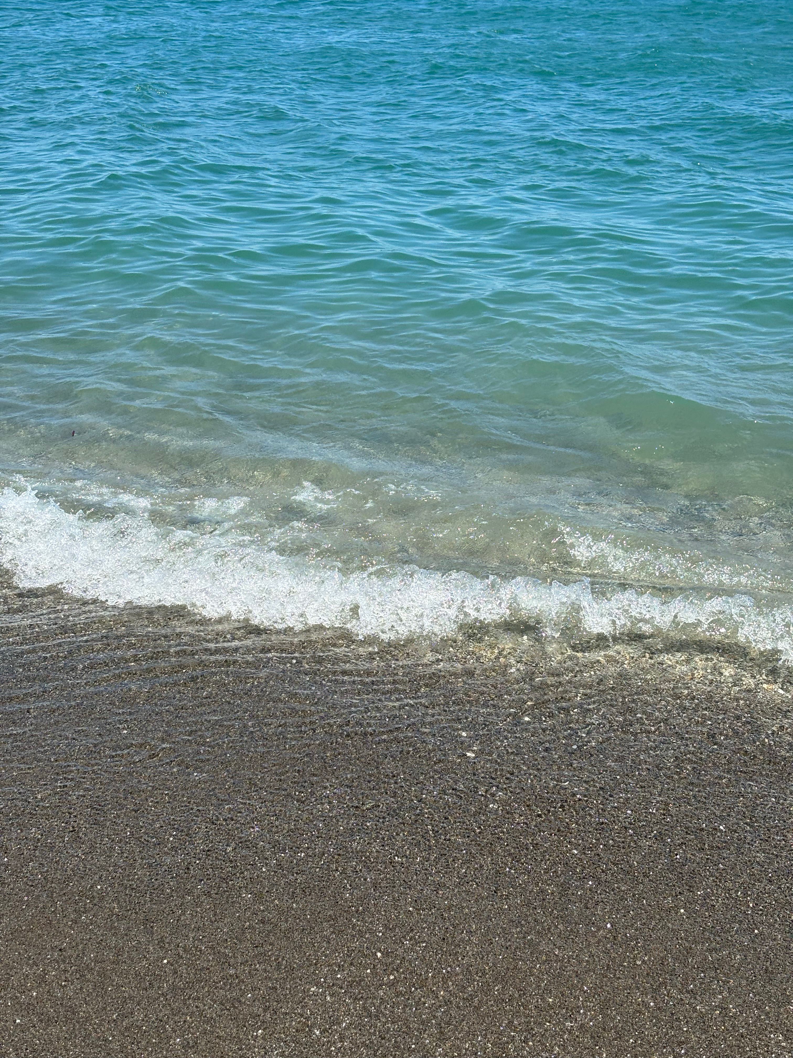 Calm Beach Shoreline with Gentle Waves · Free Stock Photo