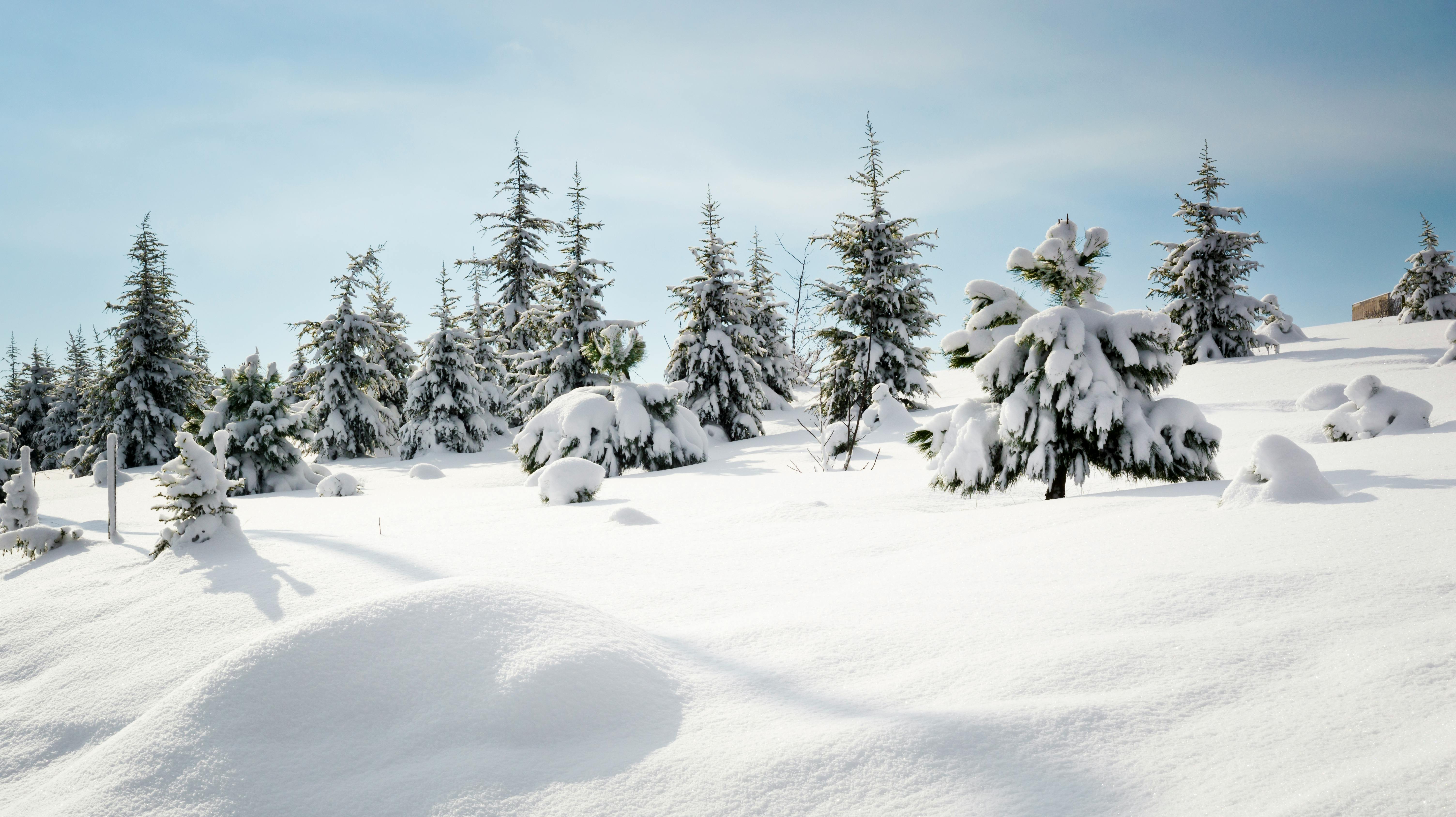 Non+Nudge Photos, Download The BEST Free Non+Nudge Stock Photos & HD Images