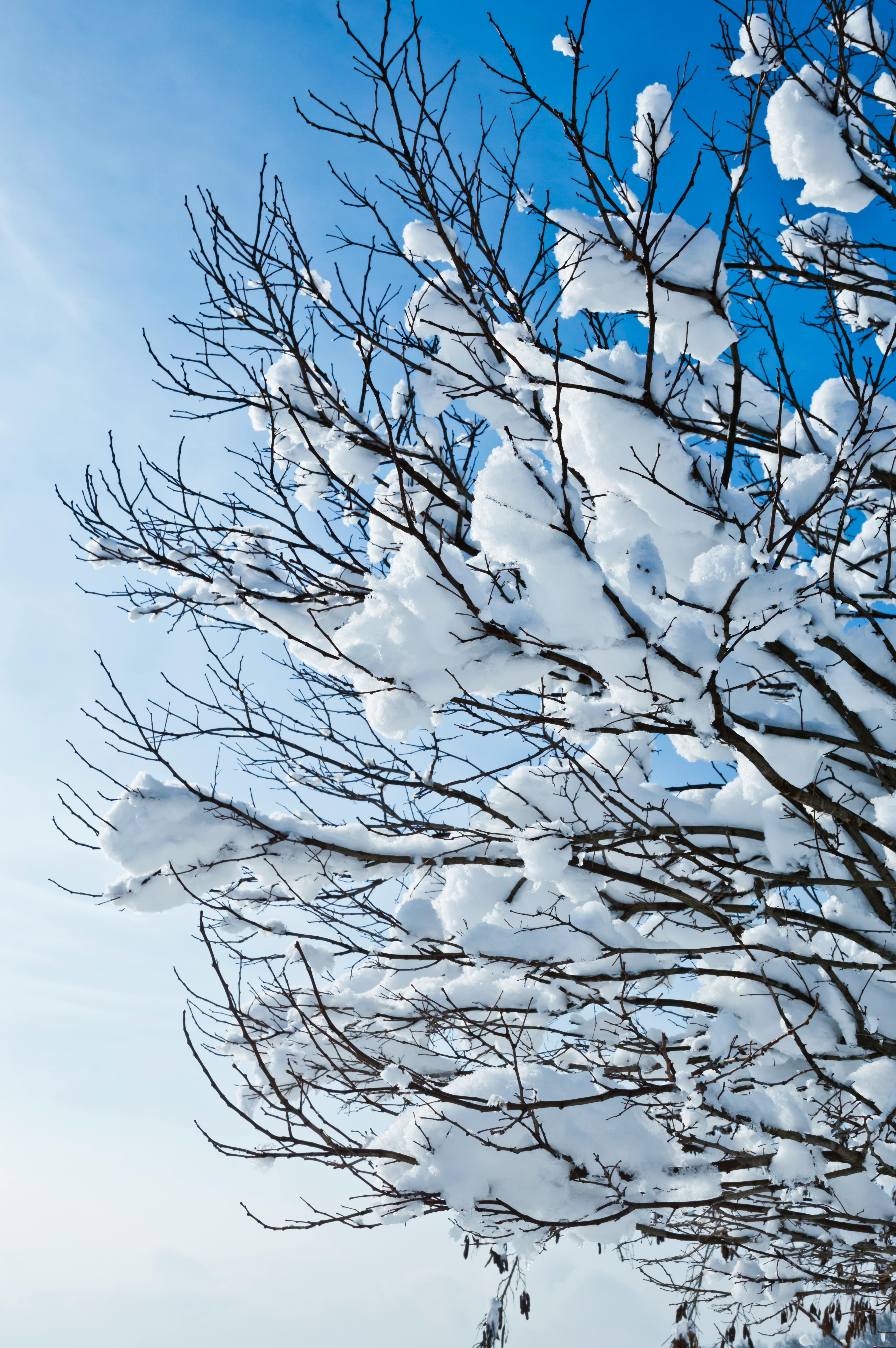 Non+Nudge Photos, Download The BEST Free Non+Nudge Stock Photos & HD Images