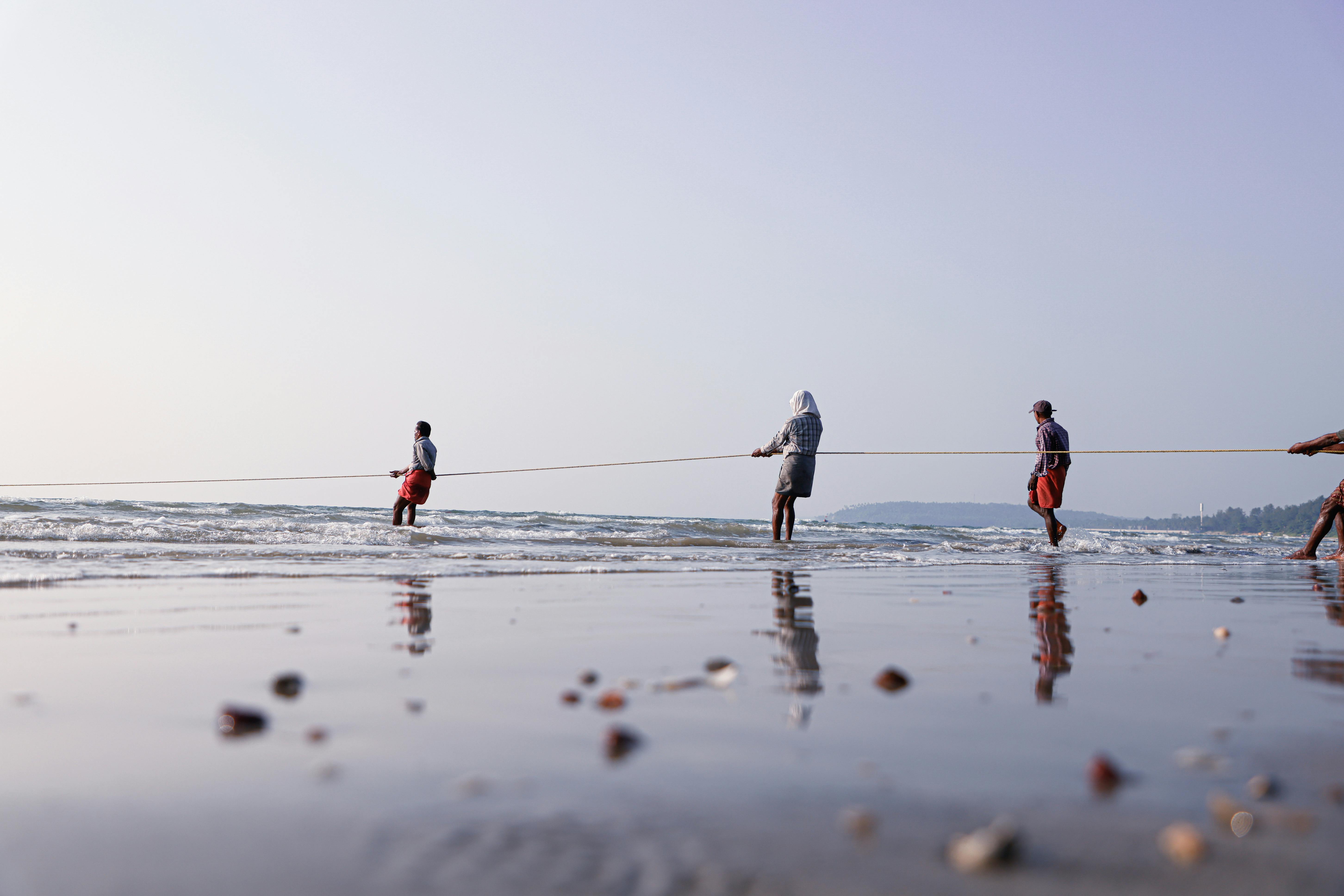 Tulasi+Kerala Photos, Download The BEST Free Tulasi+Kerala Stock Photos ...