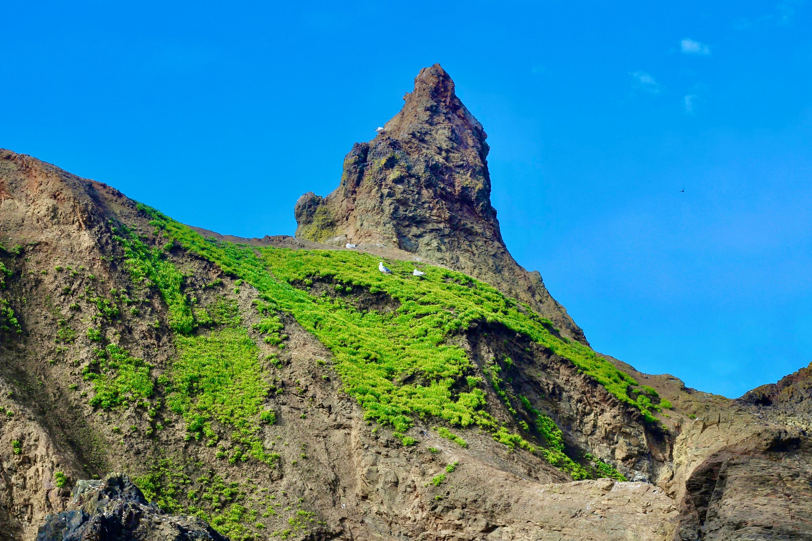 Majestic Rocky Peak with Verdant Slopes · Free Stock Photo
