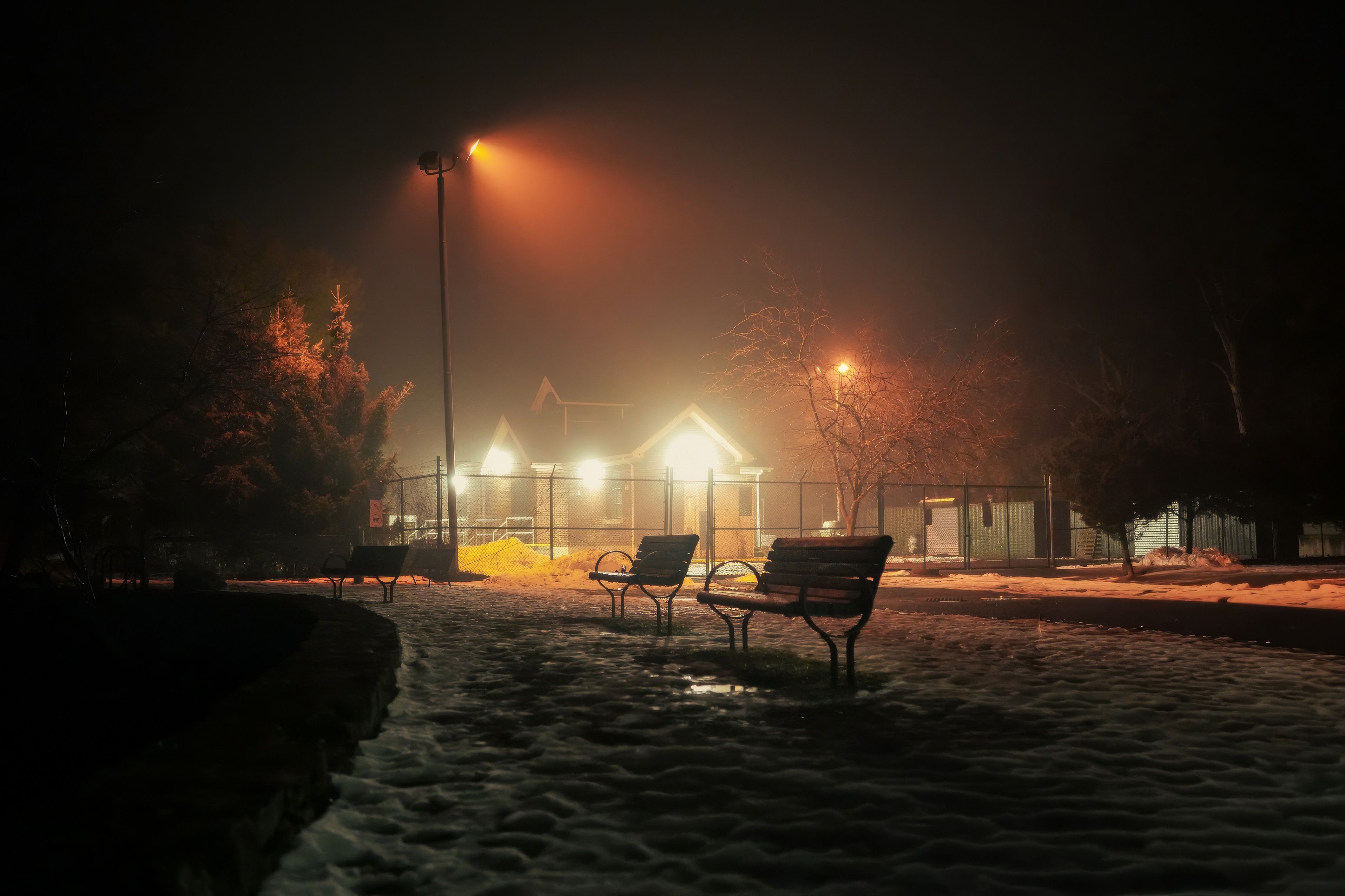 Atmospheric Winter Night in Foggy Park · Free Stock Photo