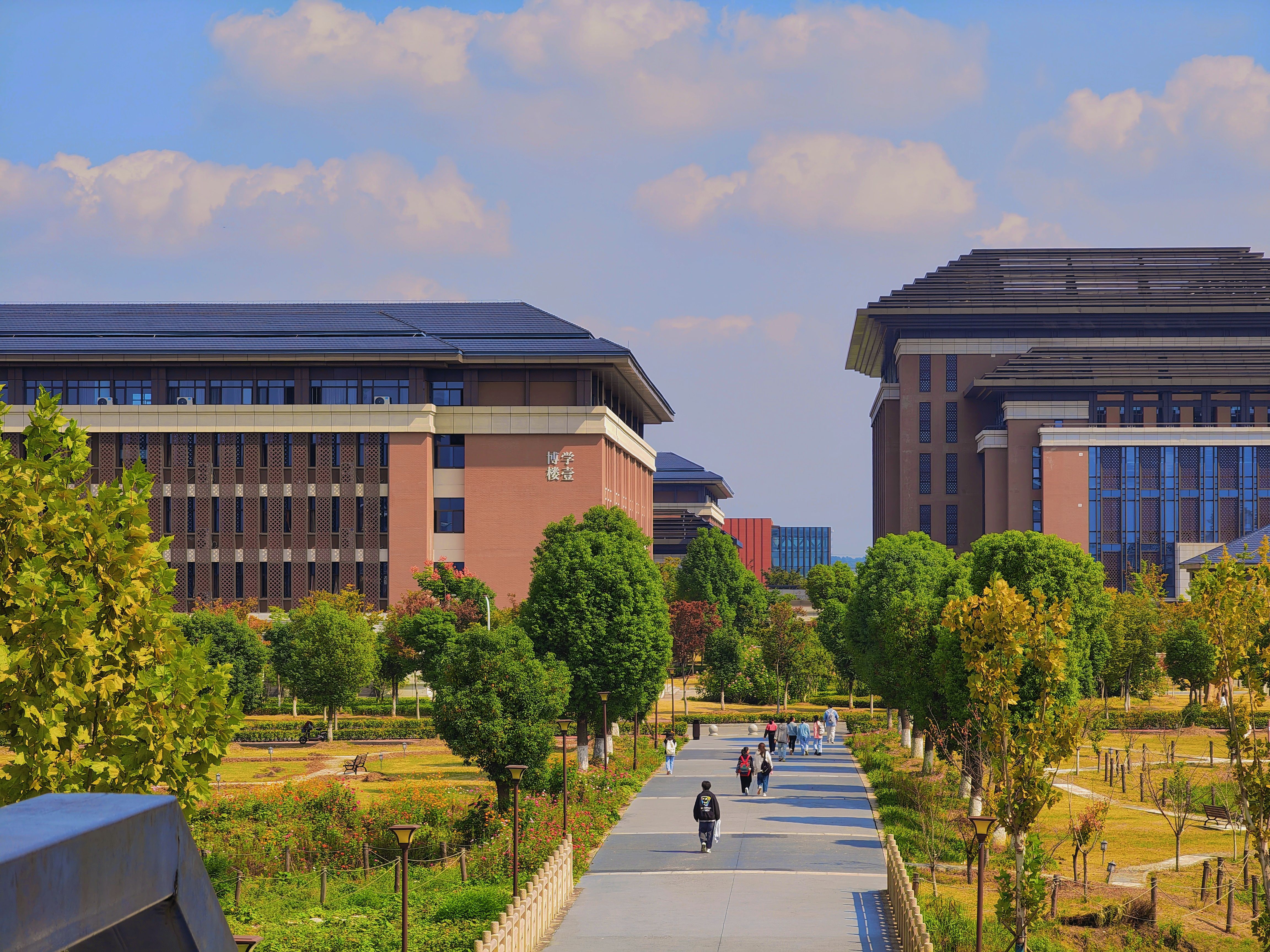 College Images Photos, Download The BEST Free College Images Stock ...
