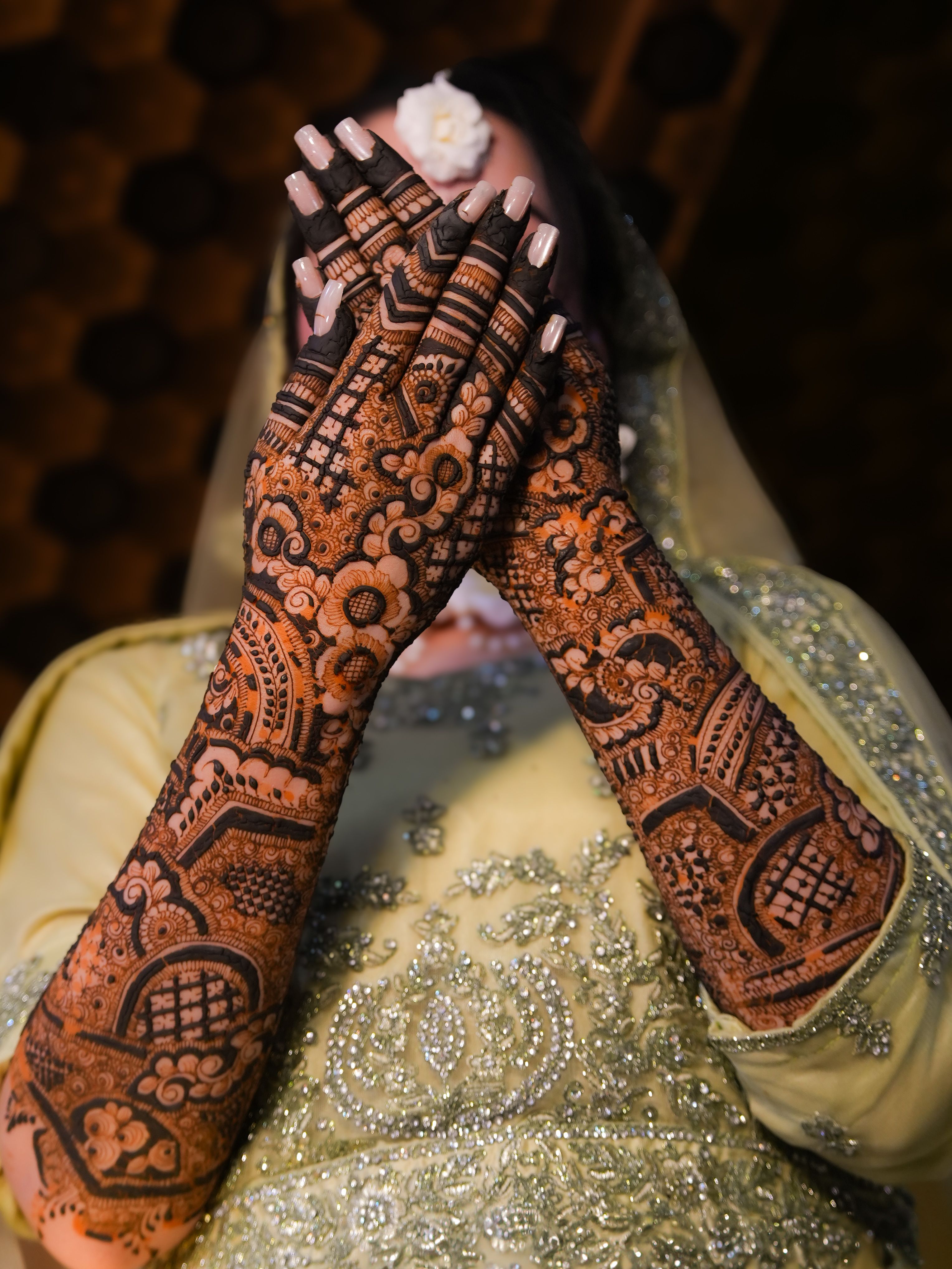Intricate Bridal Mehendi on Hands in Srinagar · Free Stock Photo