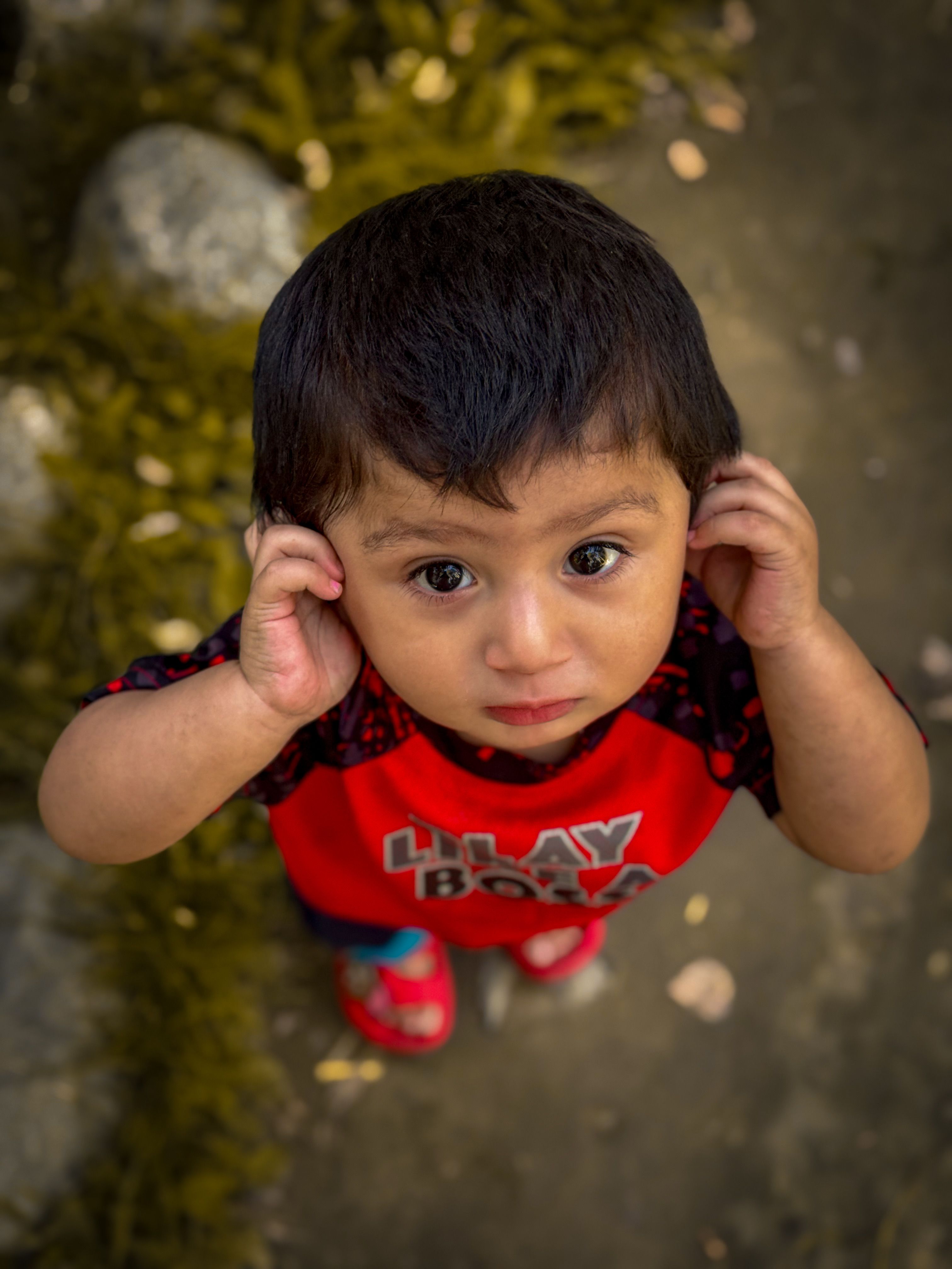 Boys+Petticoated Photos, Download The BEST Free Boys+Petticoated Stock ...