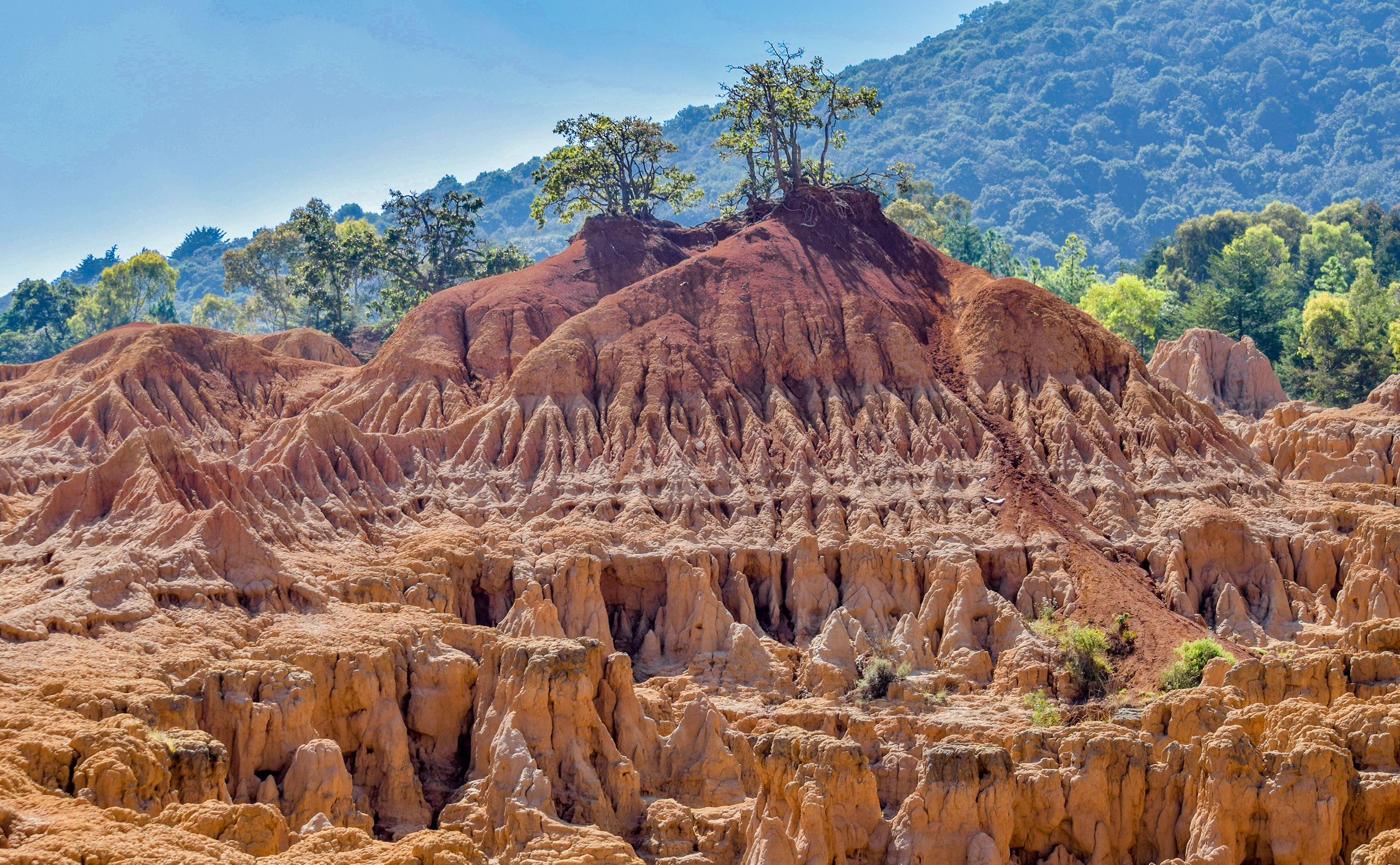 Gully Erosion Photos, Download The BEST Free Gully Erosion Stock Photos ...