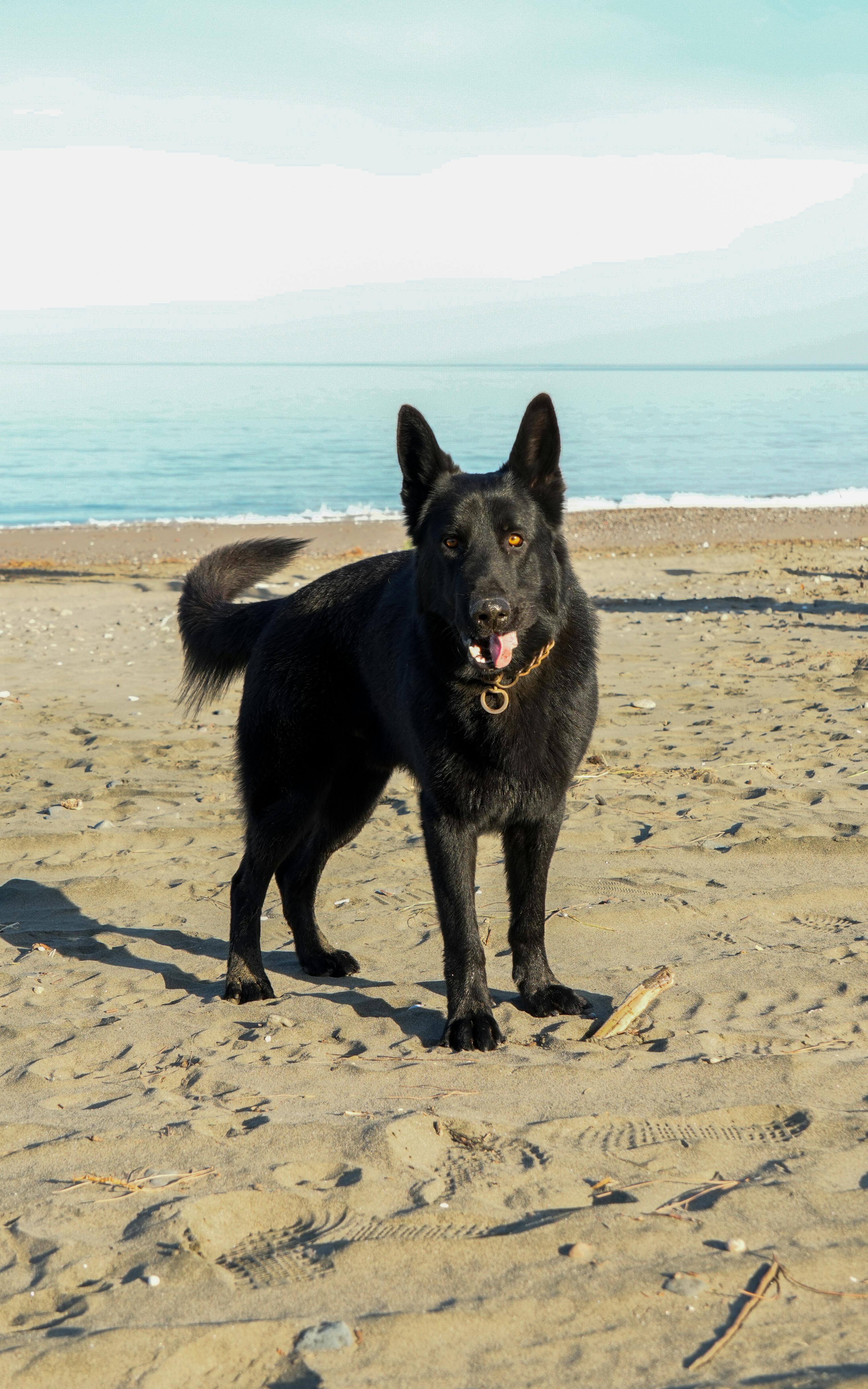 Free+Bubbl'r Photos, Download The BEST Free Free+Bubbl'r Stock Photos ...