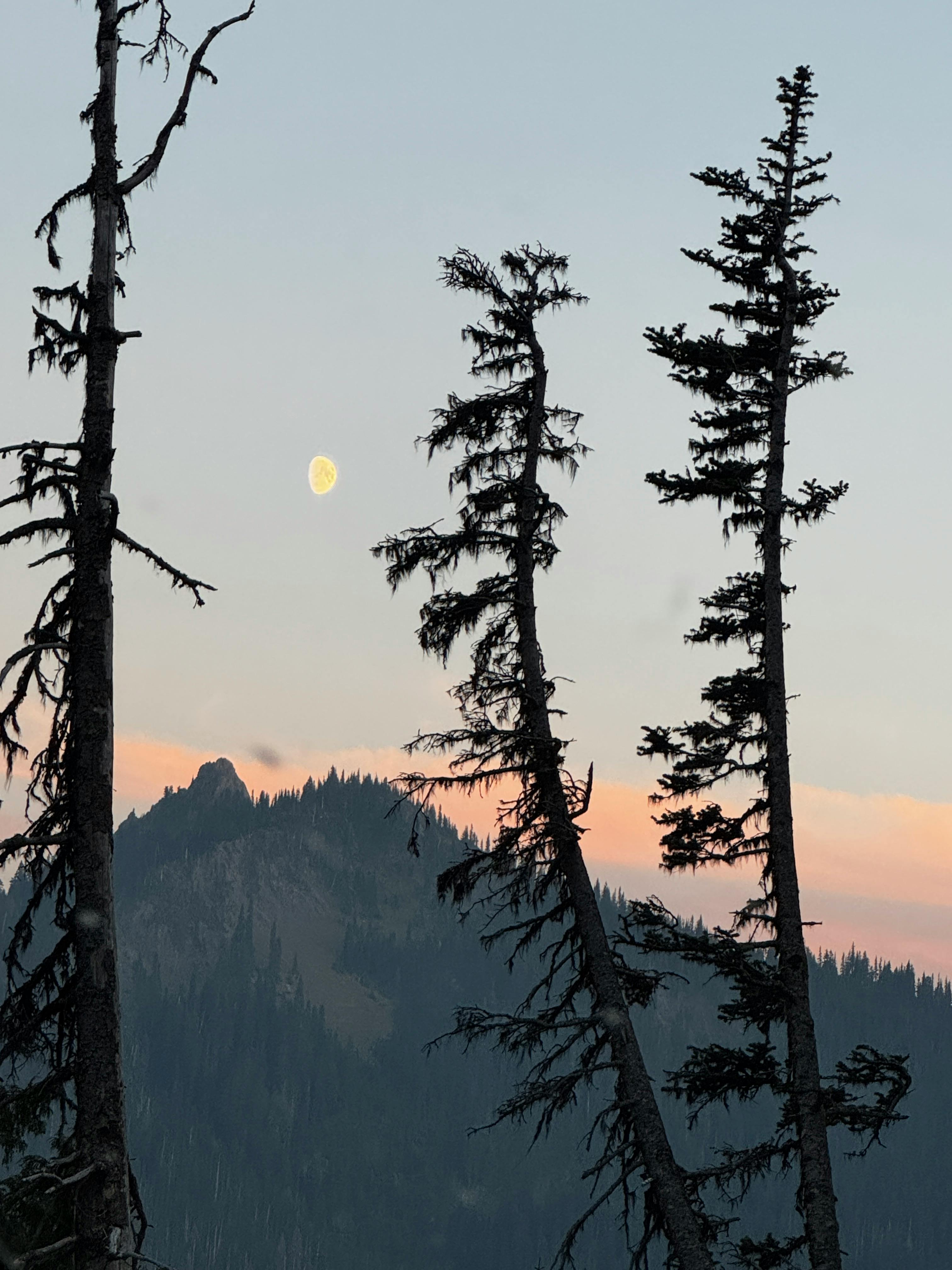 Soleil+Moon+Frye+Bikini Photos, Download The BEST Free Soleil+Moon+Frye ...