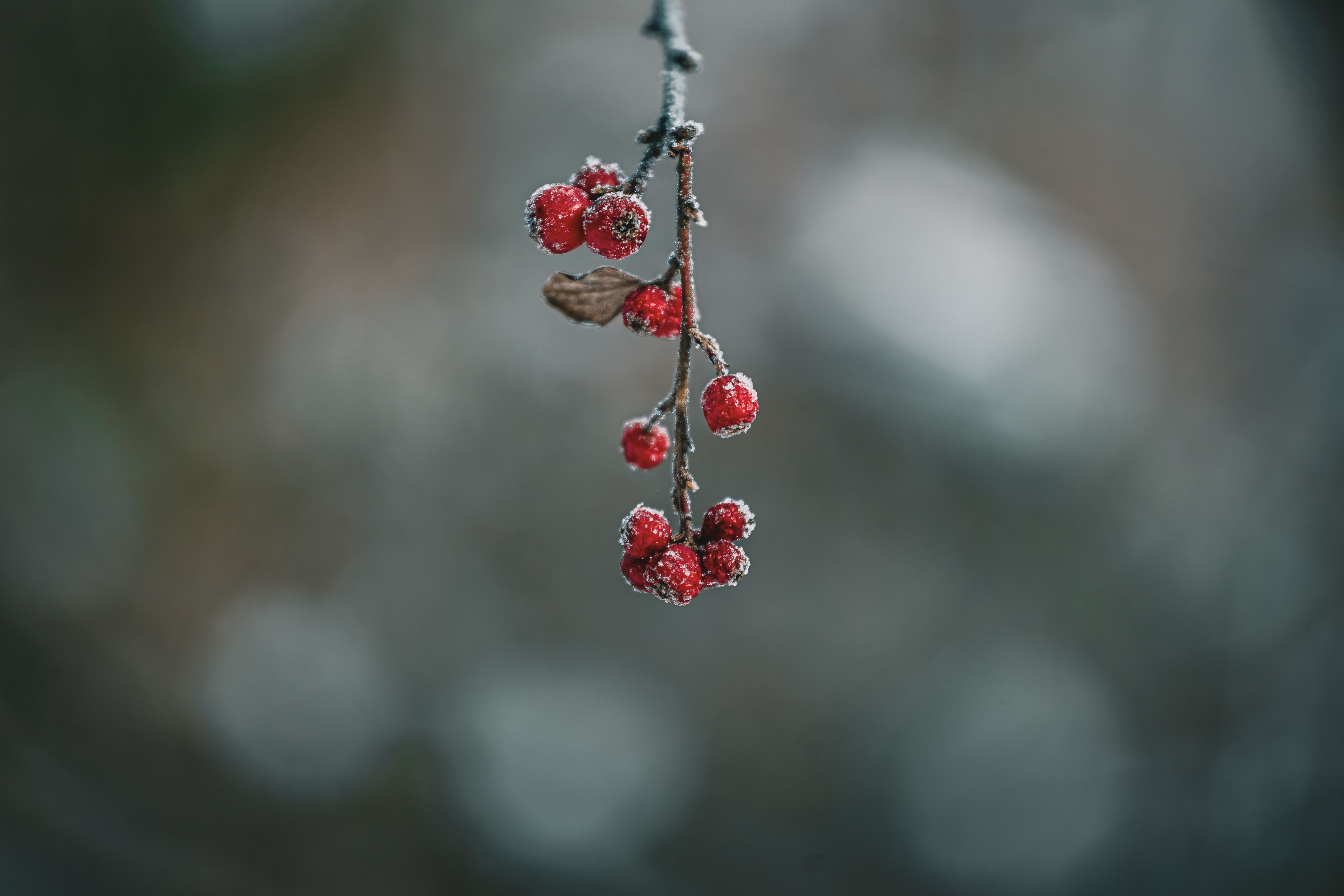Teams Winter Background Photos, Download The BEST Free Teams Winter ...