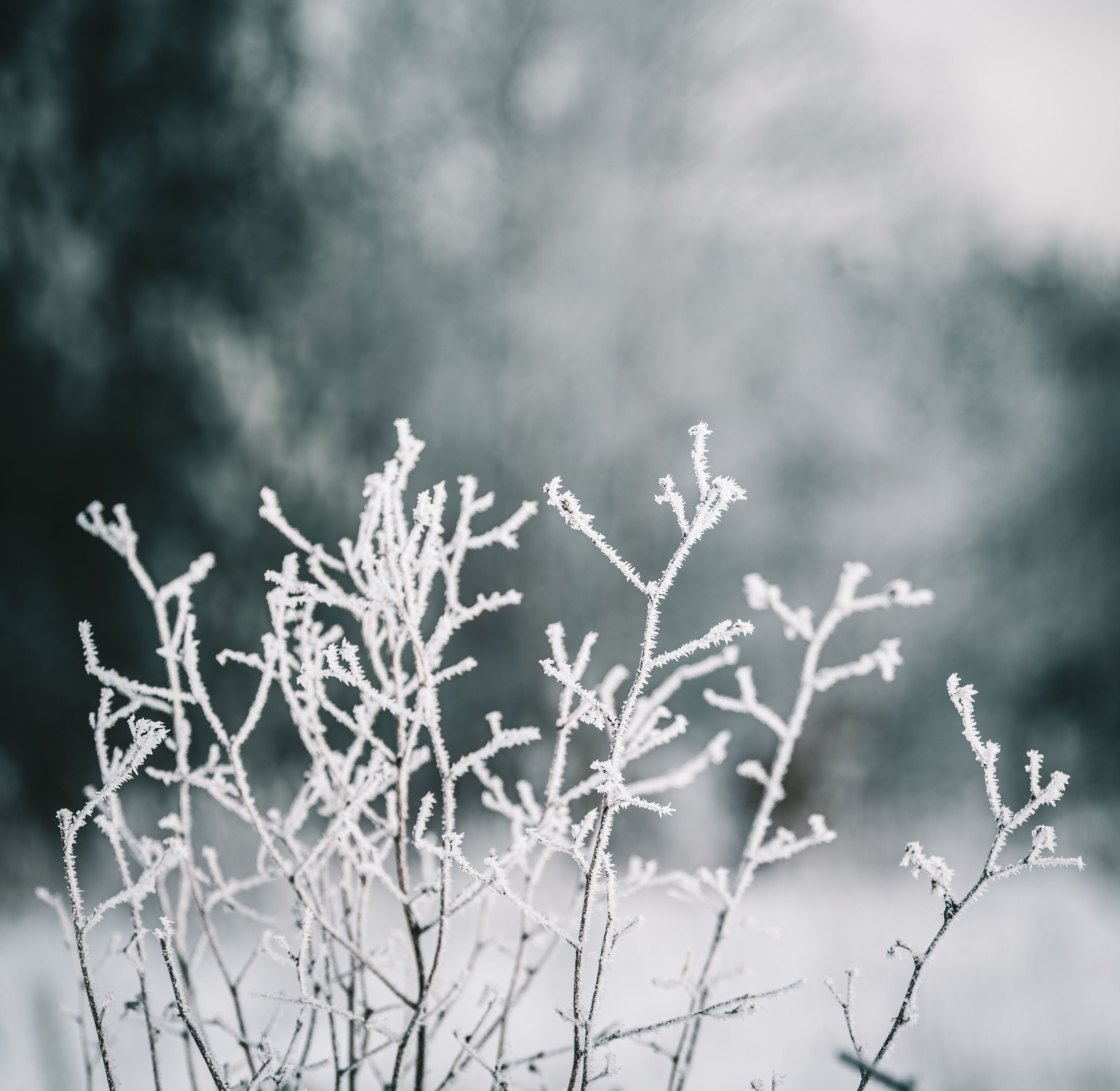 Cool White Backgrounds Photos, Download The BEST Free Cool White ...