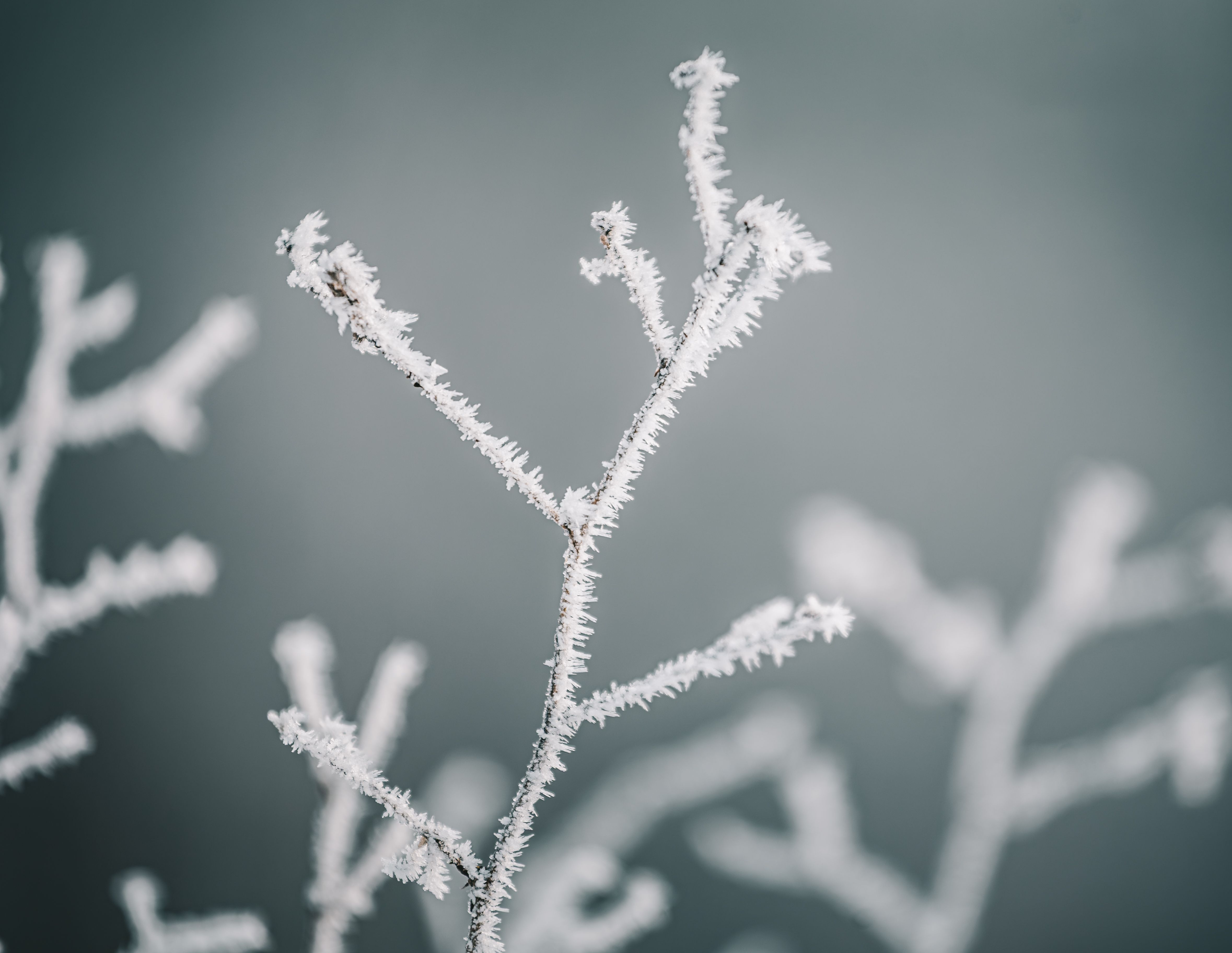 Cool White Backgrounds Photos, Download The BEST Free Cool White ...