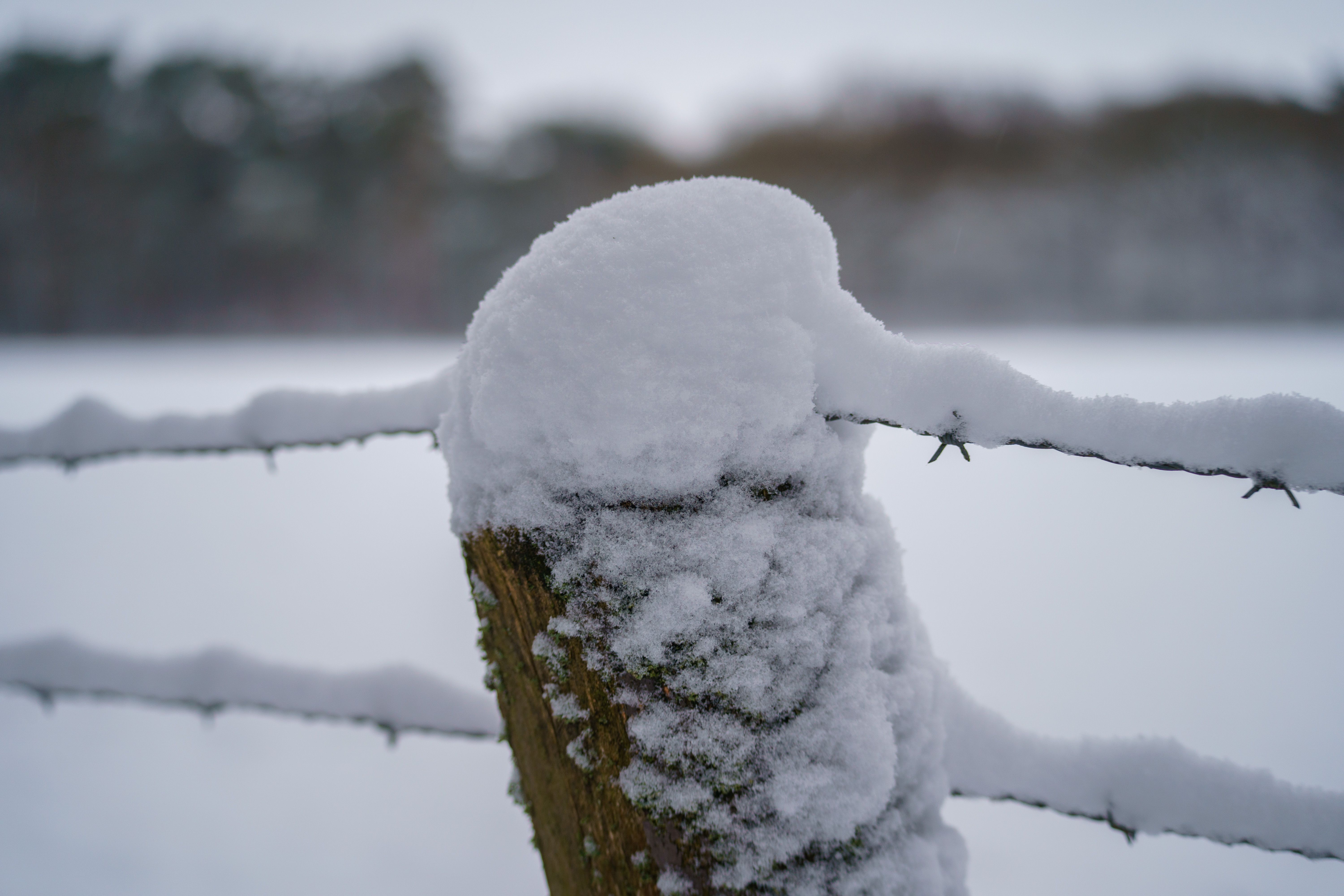 Teams Winter Background Photos, Download The BEST Free Teams Winter ...
