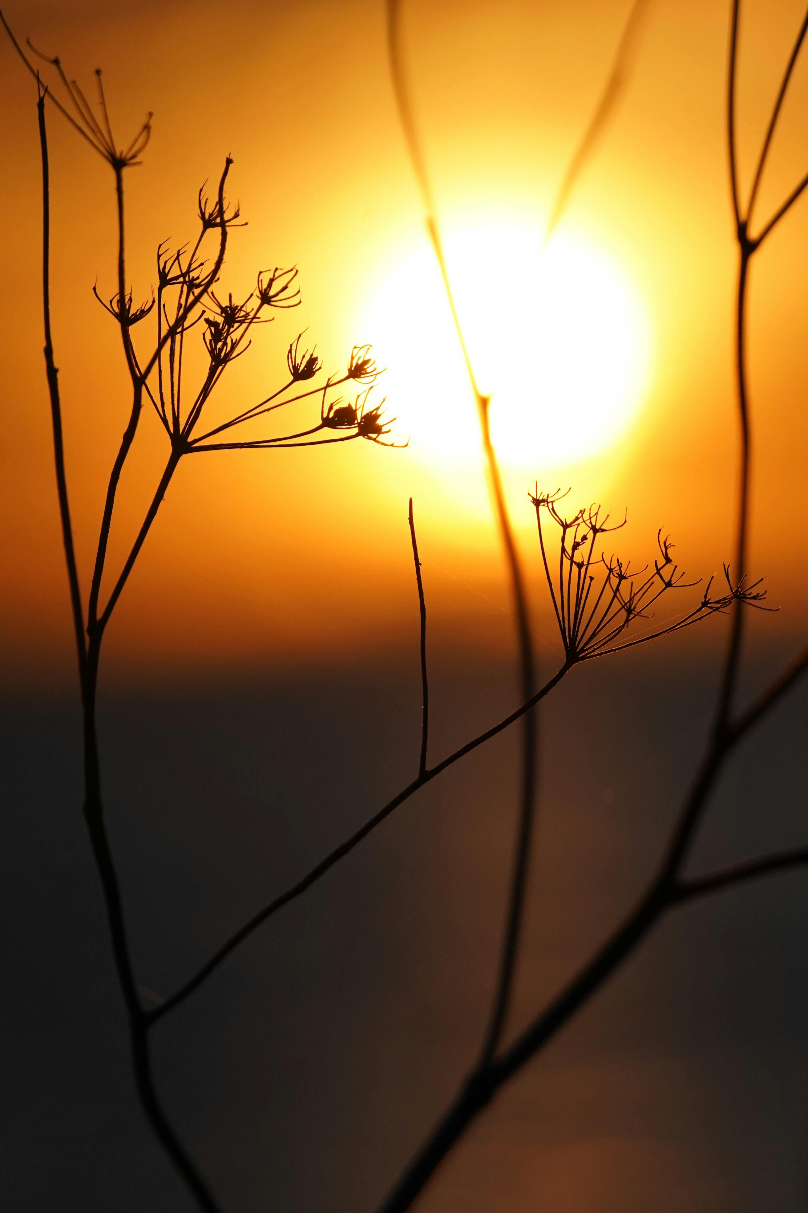 Quotes Landscape Photo Photos, Download The BEST Free Quotes Landscape ...