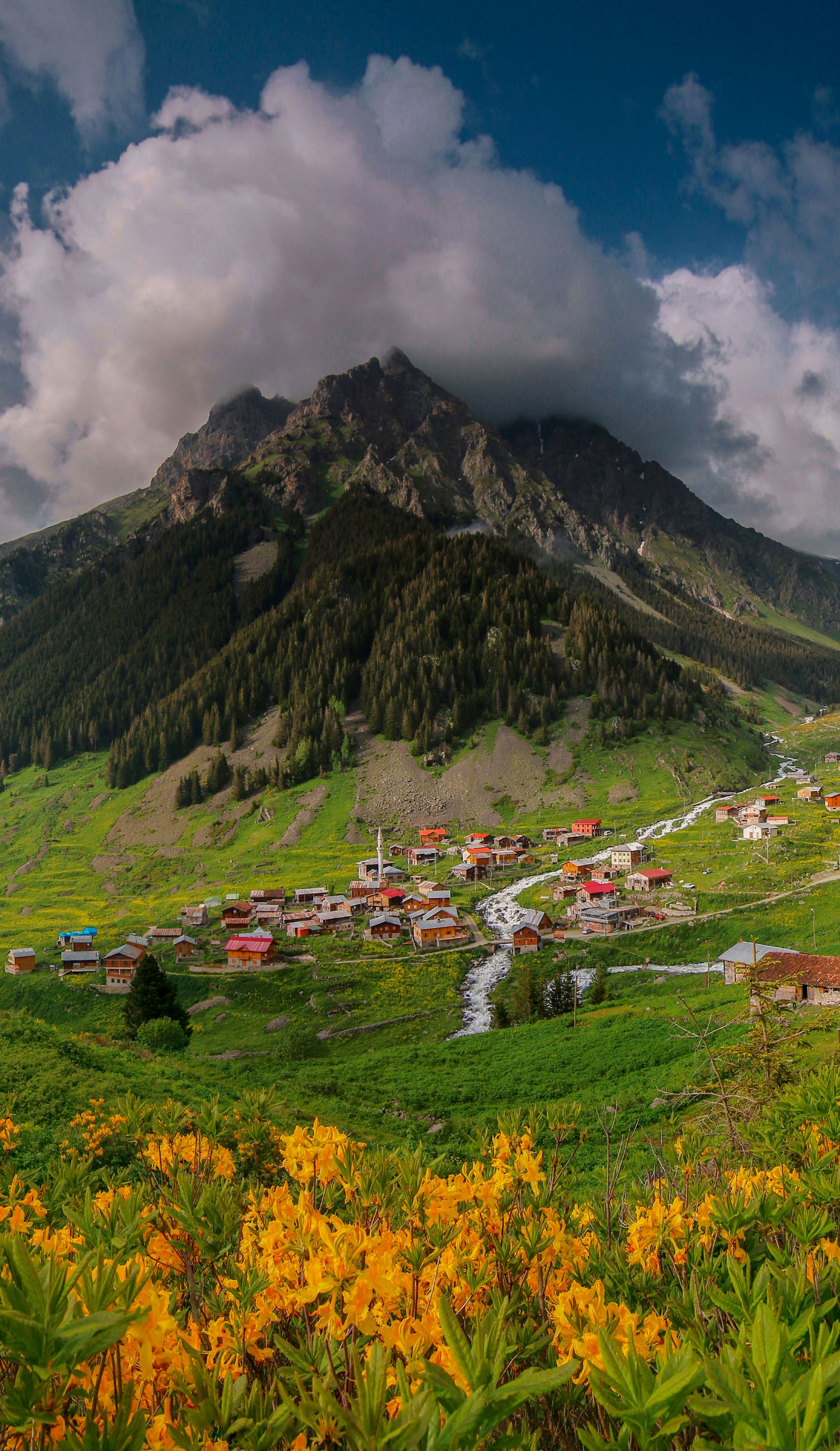 Scenic Mountain Village Landscape in Rize, Türkiye · Free Stock Photo