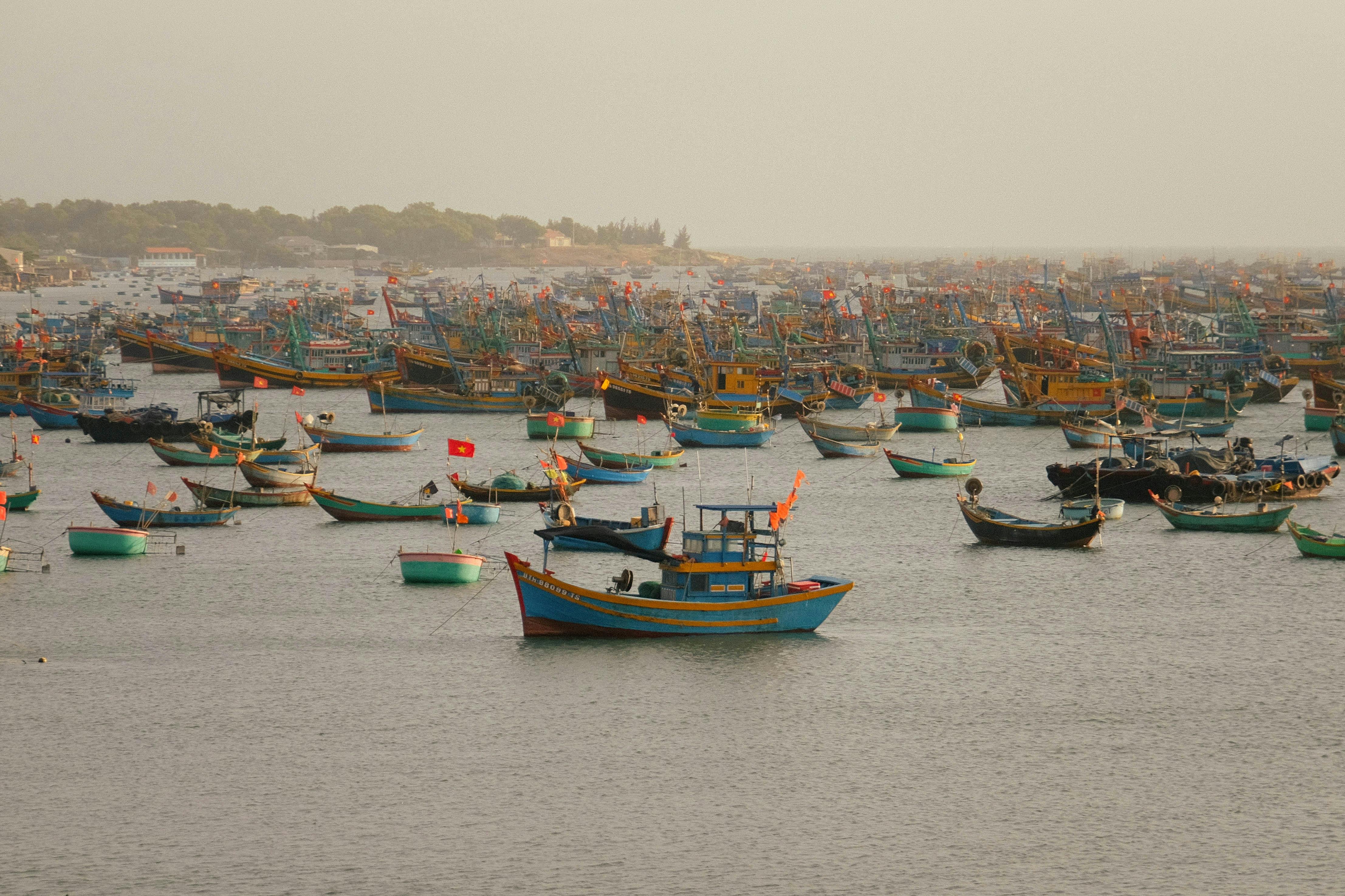 Những Chiếc Thuyền đánh Cá đầy Màu Sắc Tại Cảng Phan Thiết · Ảnh có sẵn miễn phí