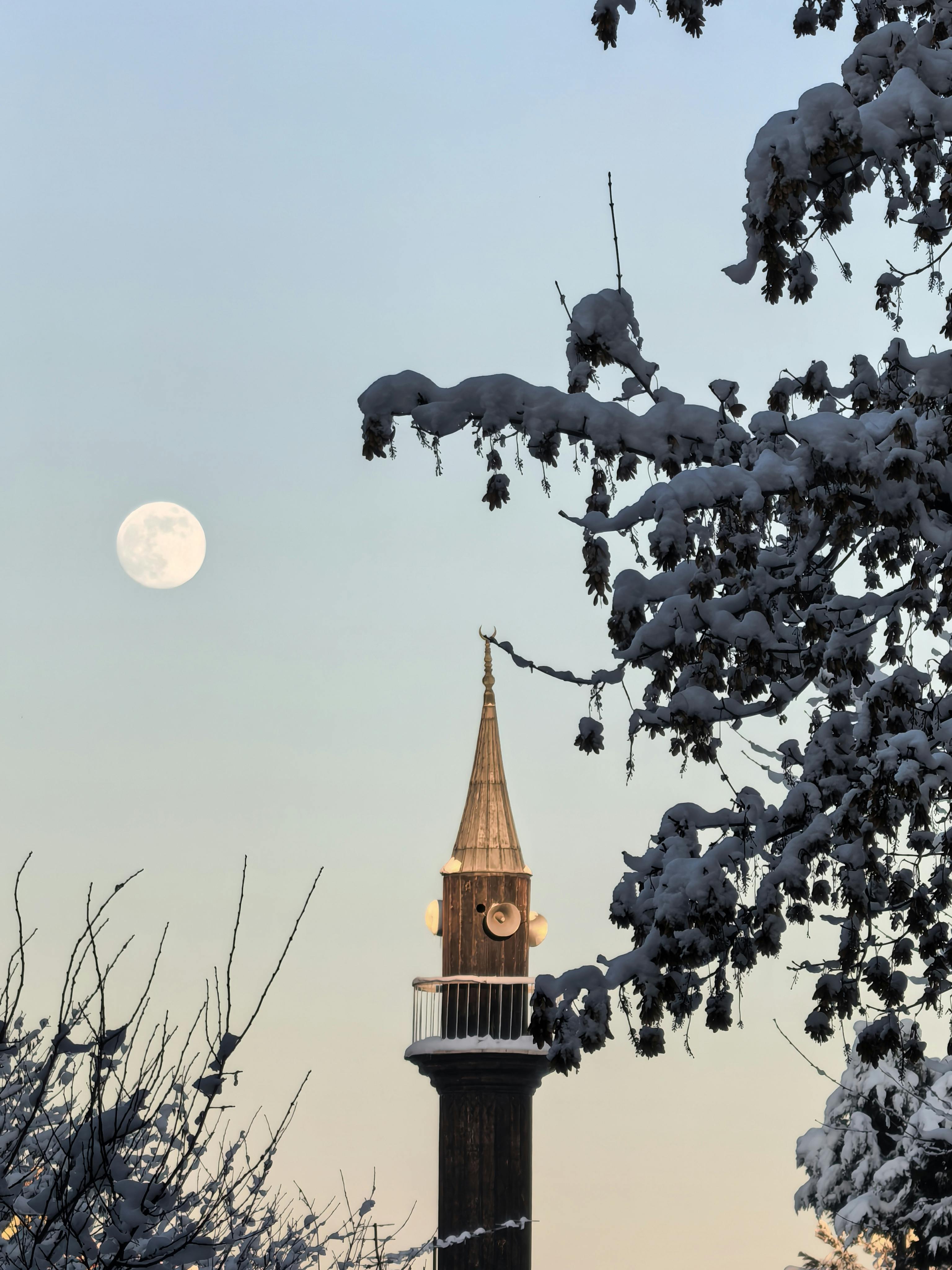 Full+Frontal+Vigina Photos, Download The BEST Free Full+Frontal+Vigina ...