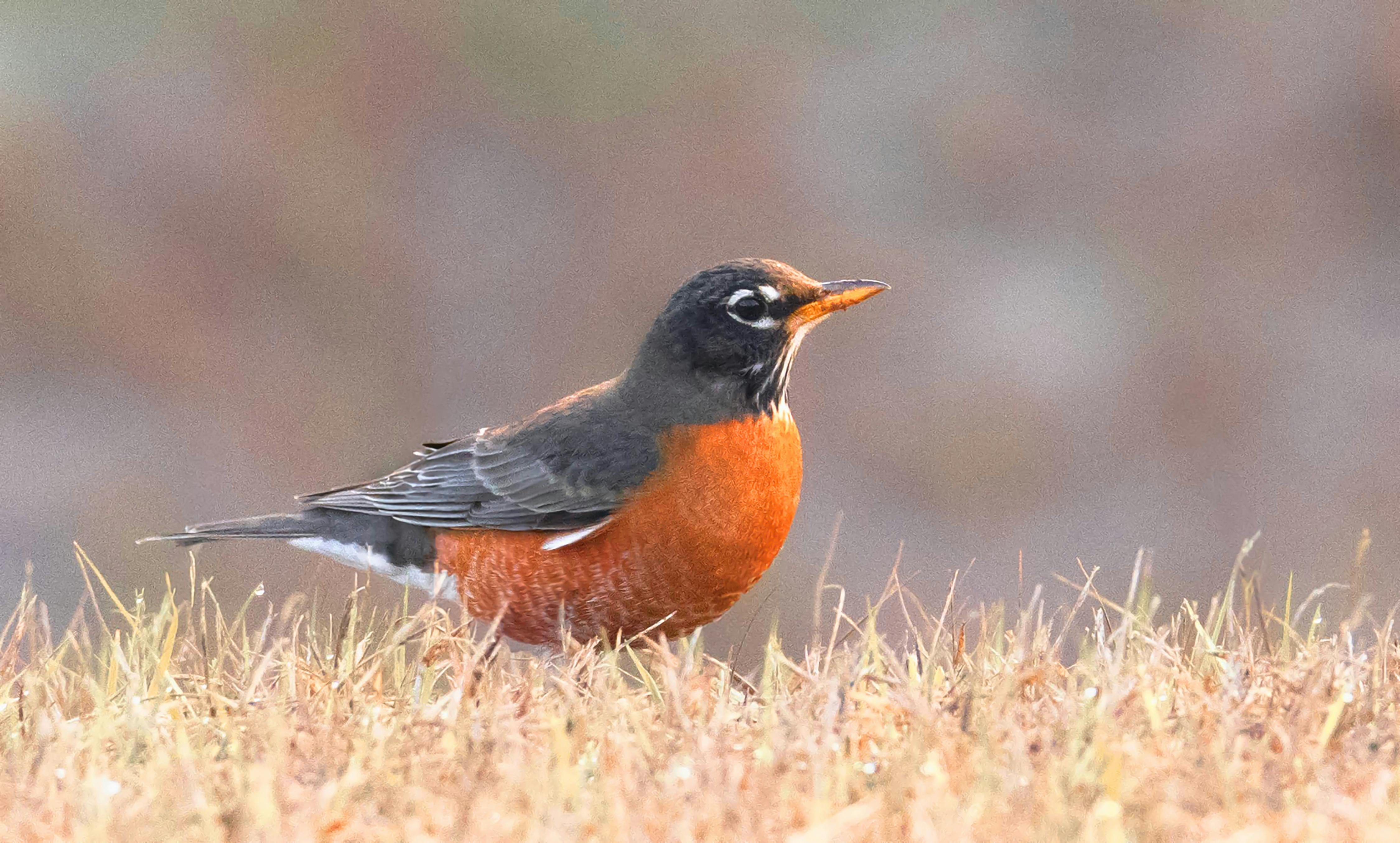 90.000+ Picture+of+8+keys Bilder und Fotos · Kostenlos Downloaden ...