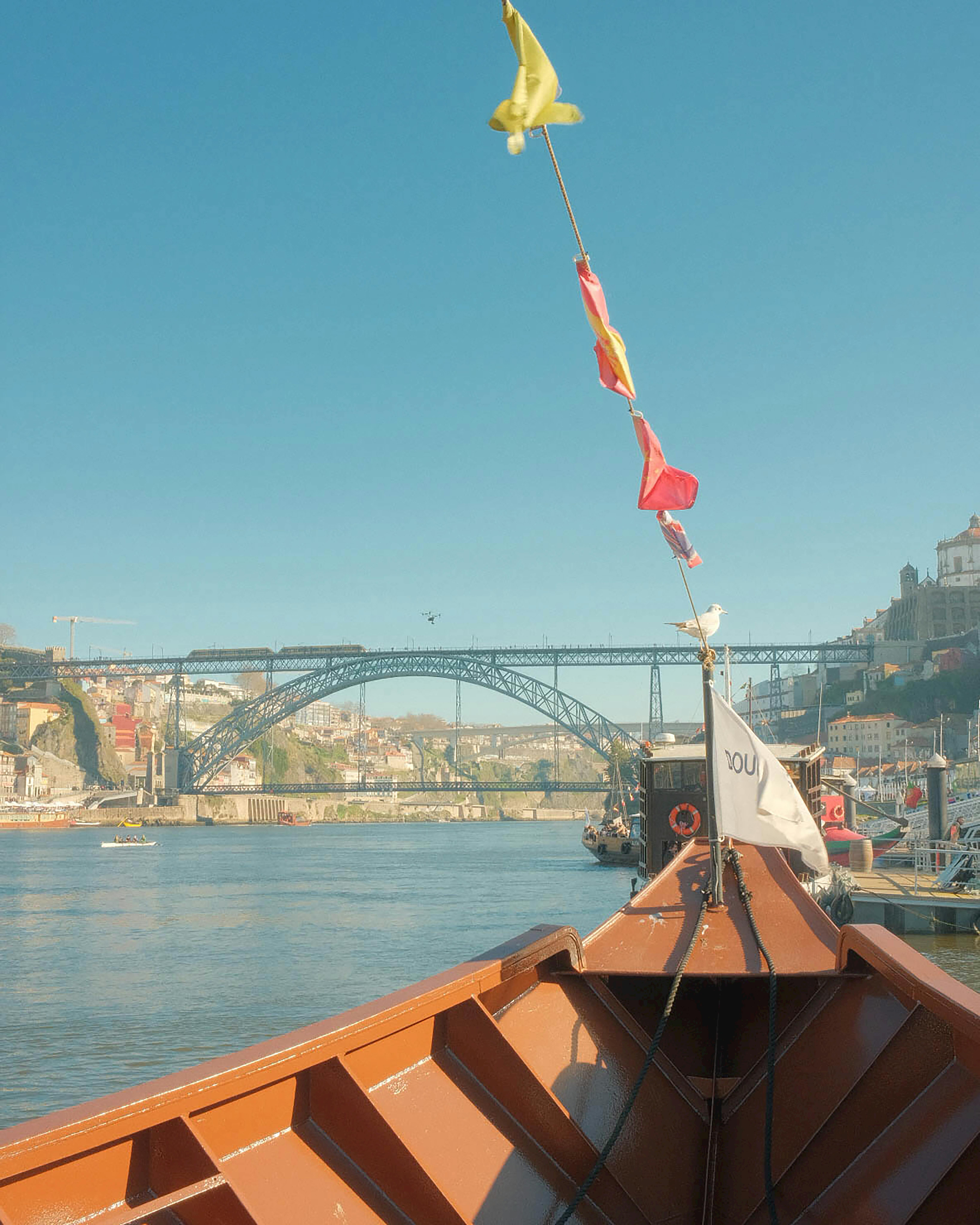 3.941+ Fotos y Imágenes de Trauma+i Gratis · Banco de Fotos Gratis