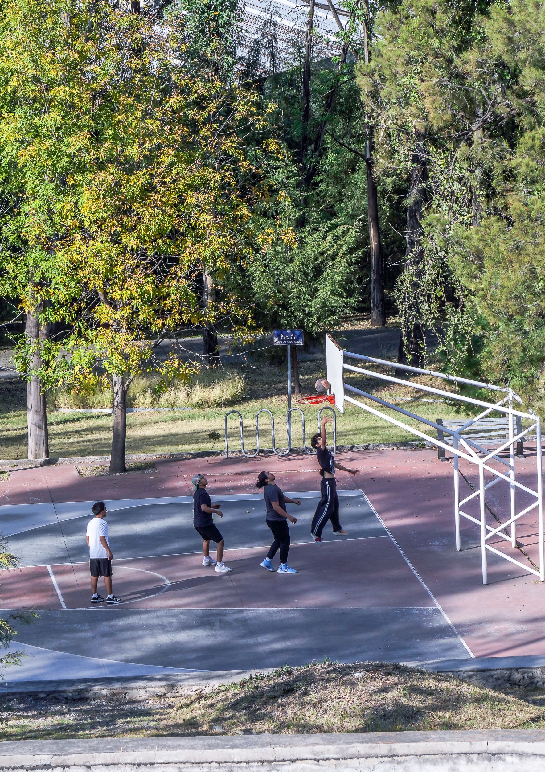 Outdoor Basketball Game in Puebla Park · Free Stock Photo