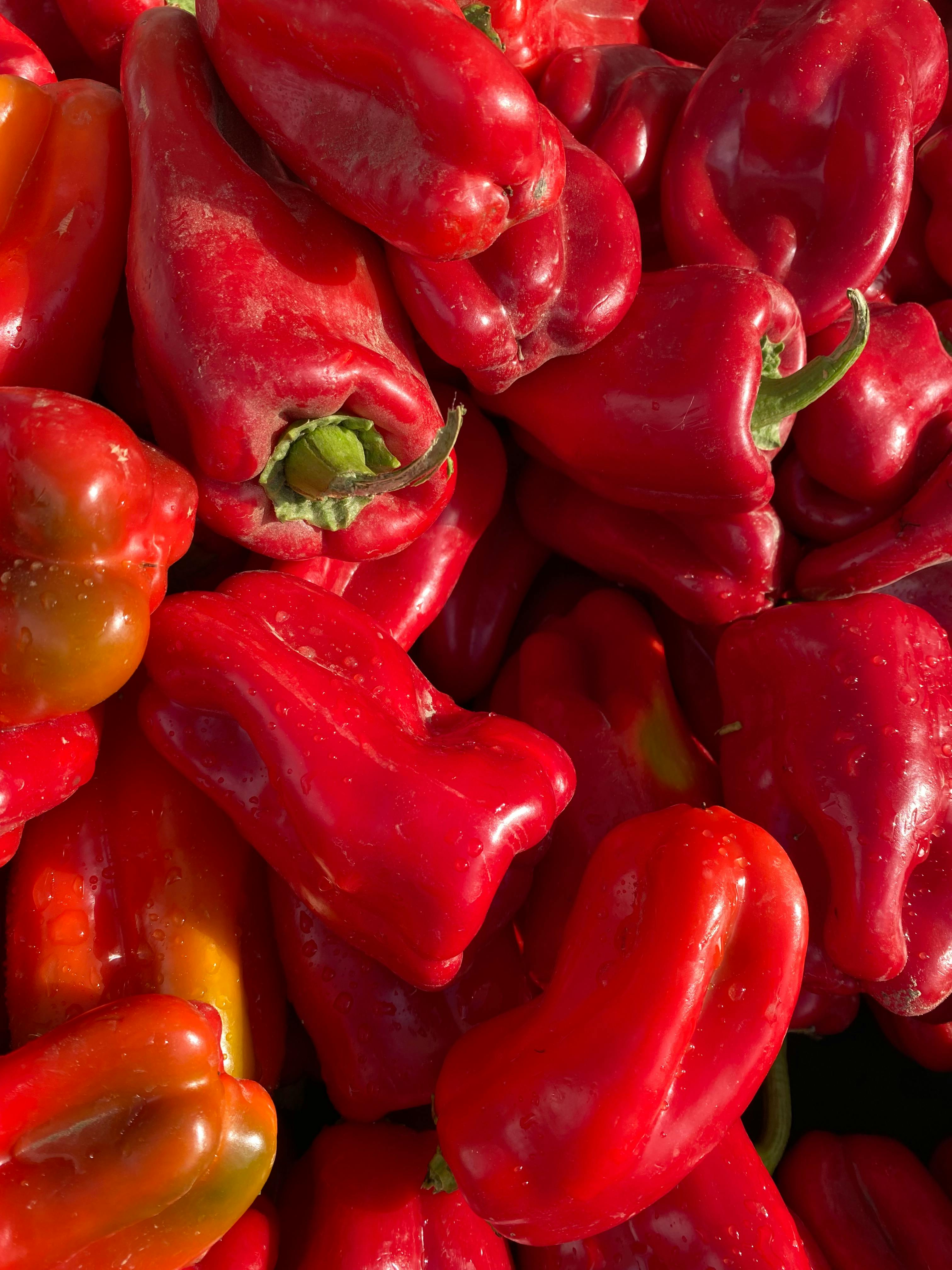 Non+Nudge Photos, Download The BEST Free Non+Nudge Stock Photos & HD Images