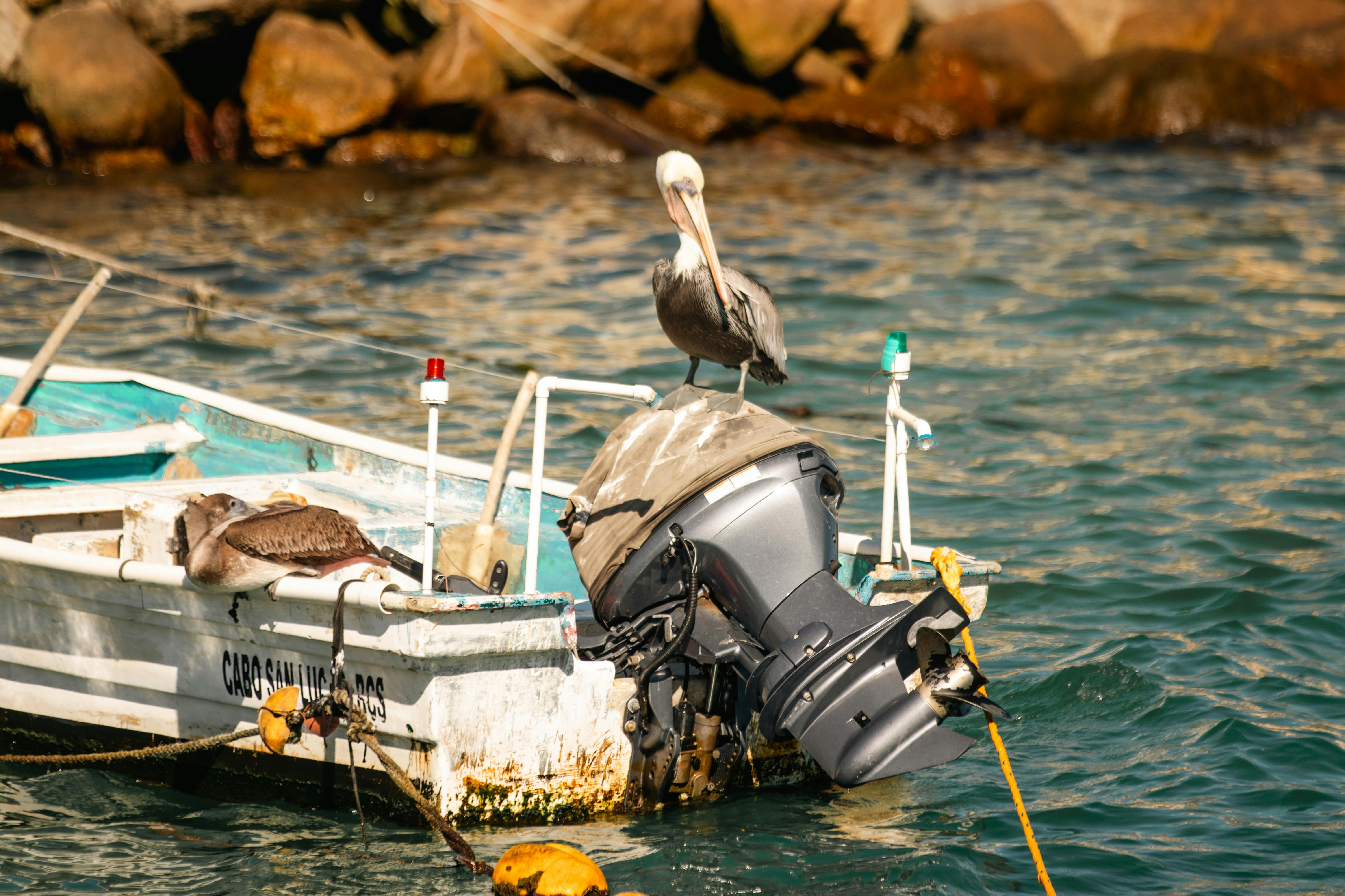 152.571+ Fotos y Imágenes de Timepiece+on+the+beach Gratis · Banco de ...