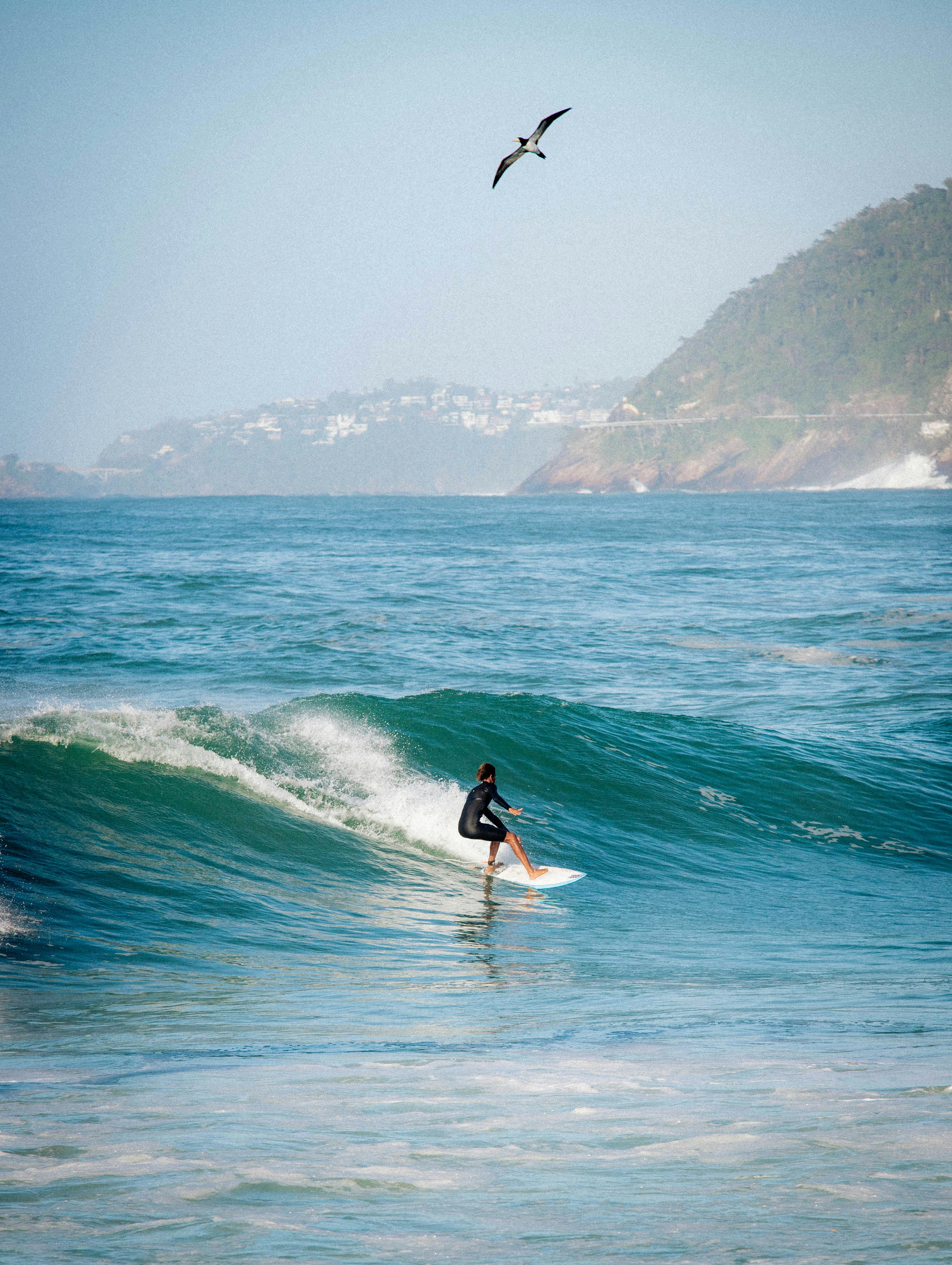 Jennifer+Harrison+Body Photos, Download The BEST Free Jennifer+Harrison ...