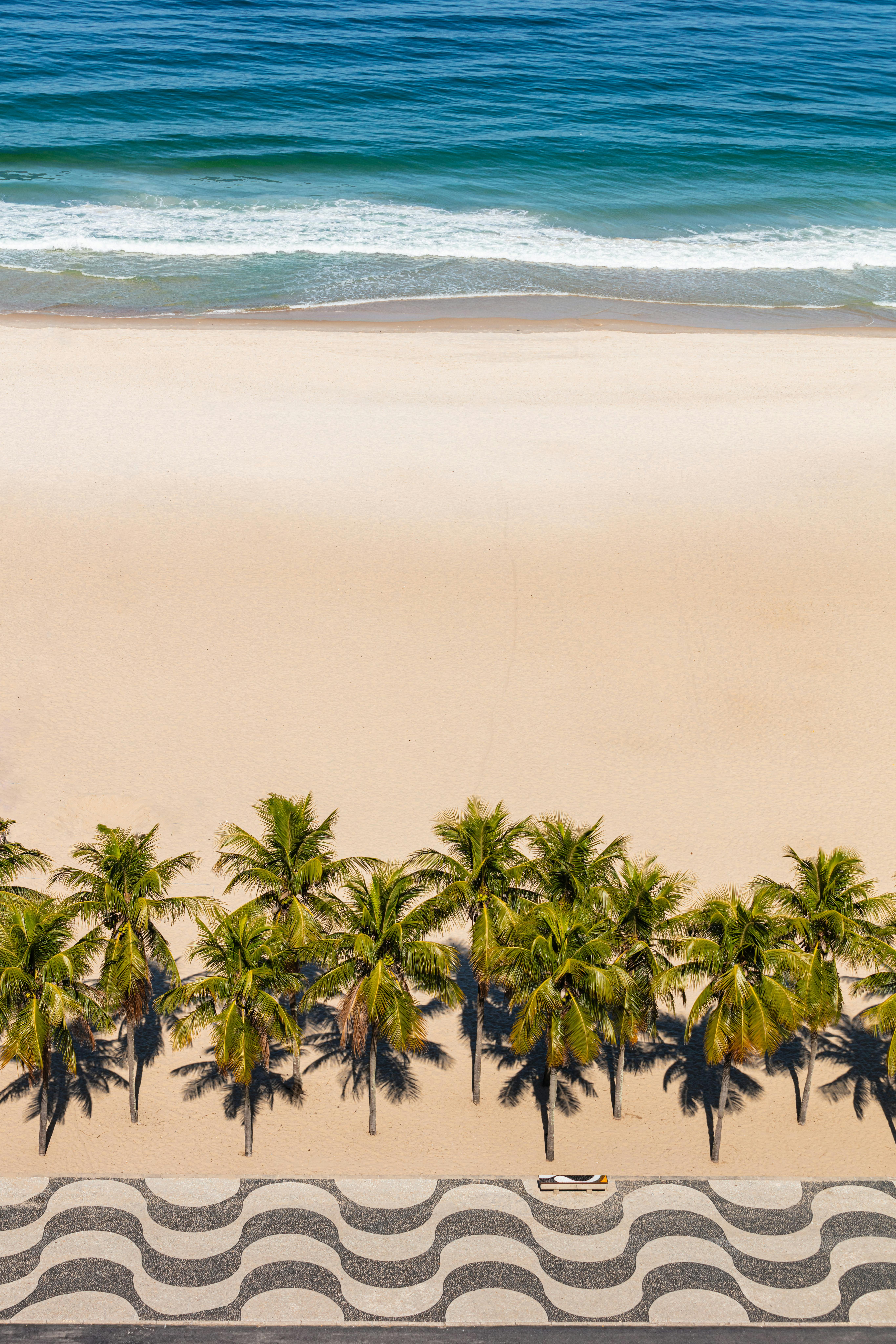 Lawn+&+Landscape+Services Photos, Download The BEST Free Lawn+ ...