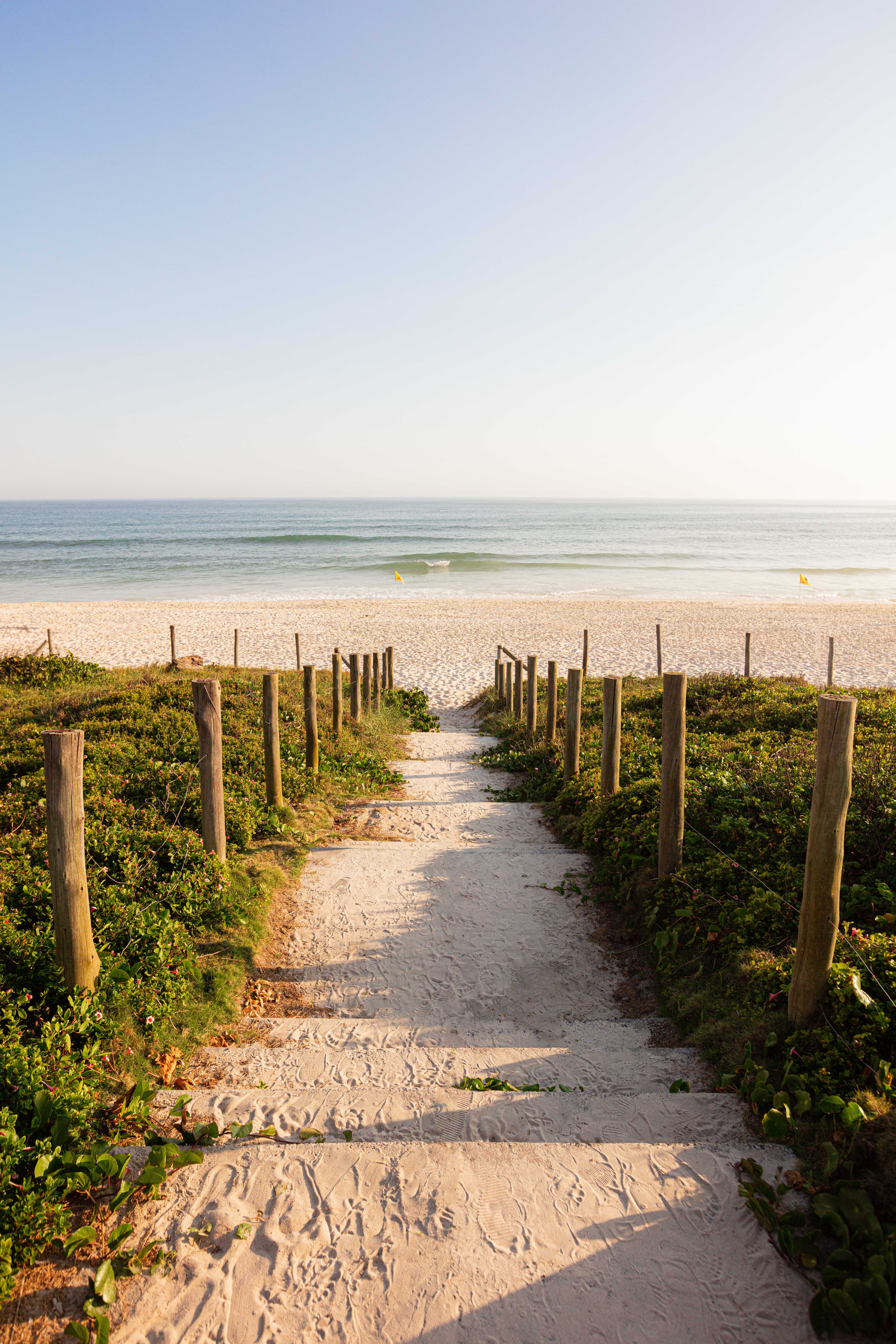 Serene Beach Pathway Leading to the Ocean · Free Stock Photo
