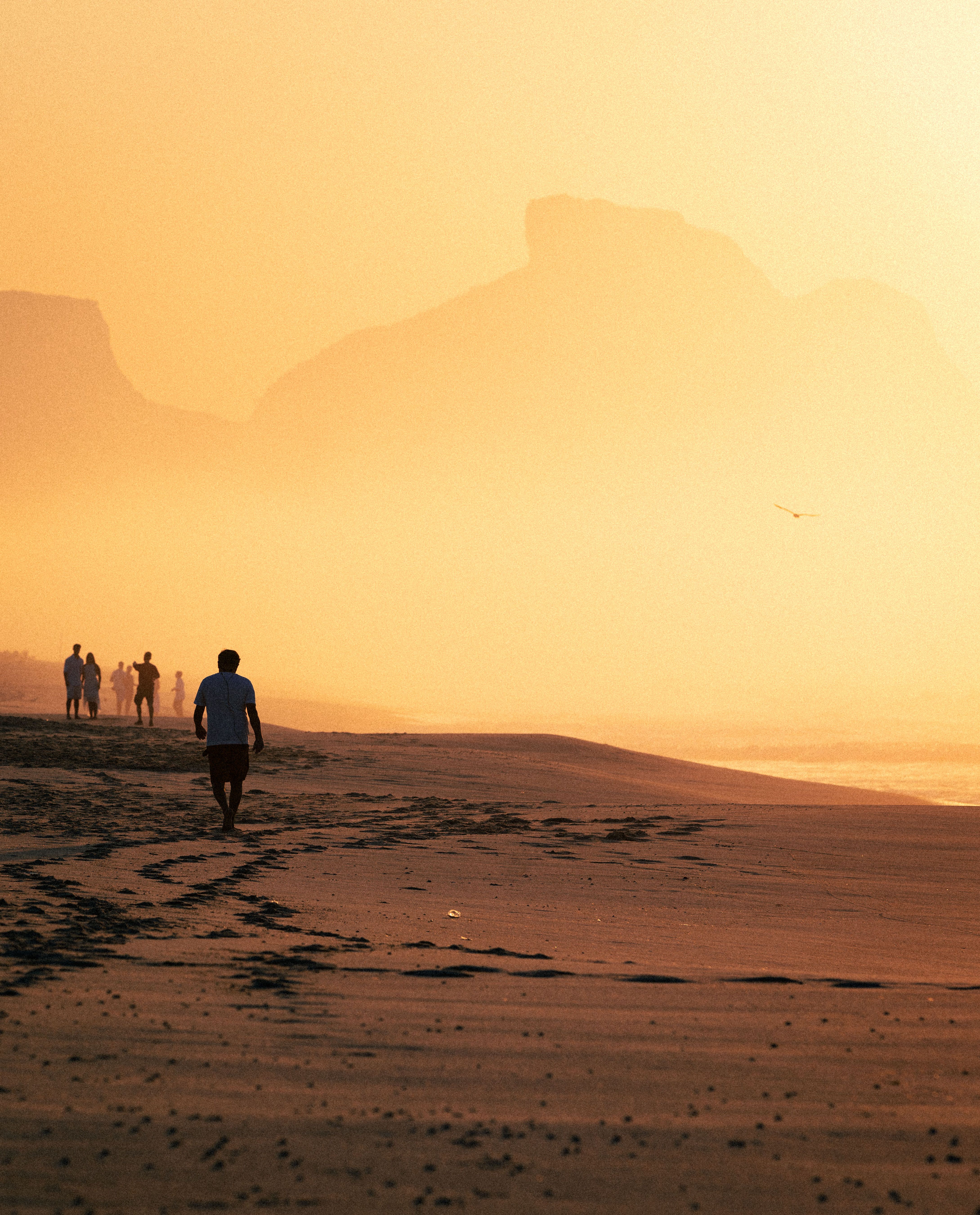 Ambient+Cg Photos, Download The BEST Free Ambient+Cg Stock Photos & HD ...