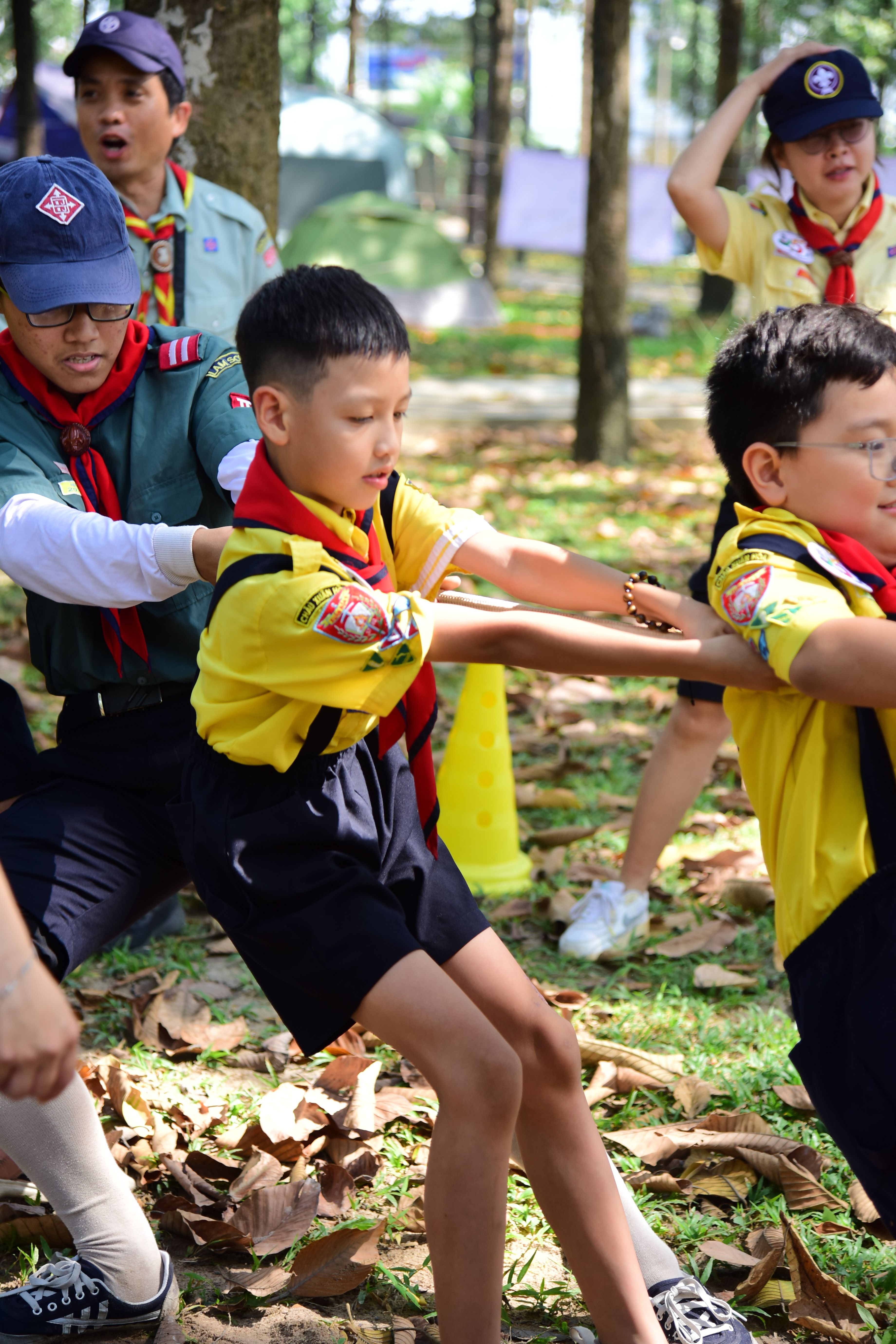 Outdoor Team Activity with Young Scouts · Free Stock Photo